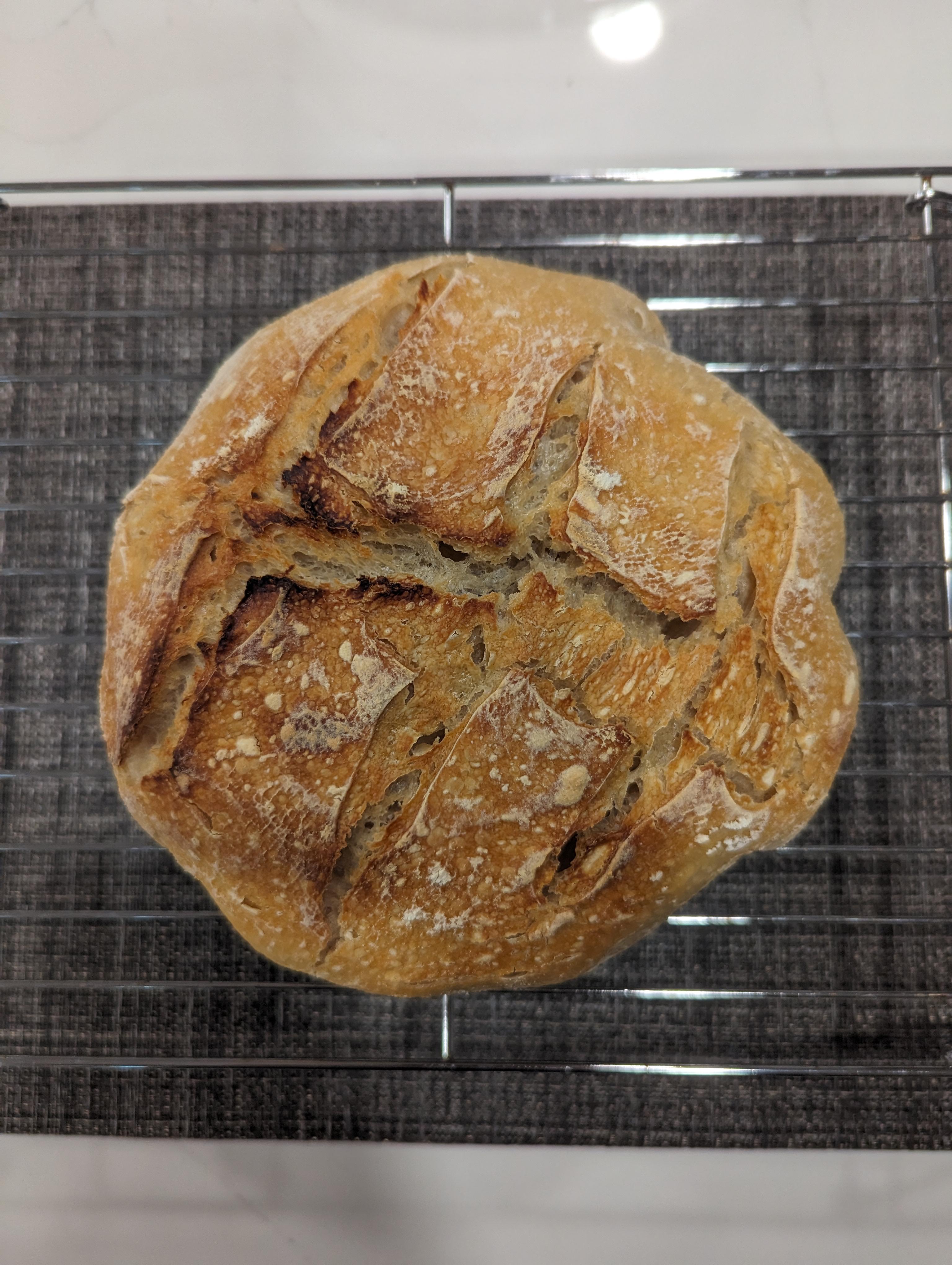 Sourdough First Attempt | Scrolller