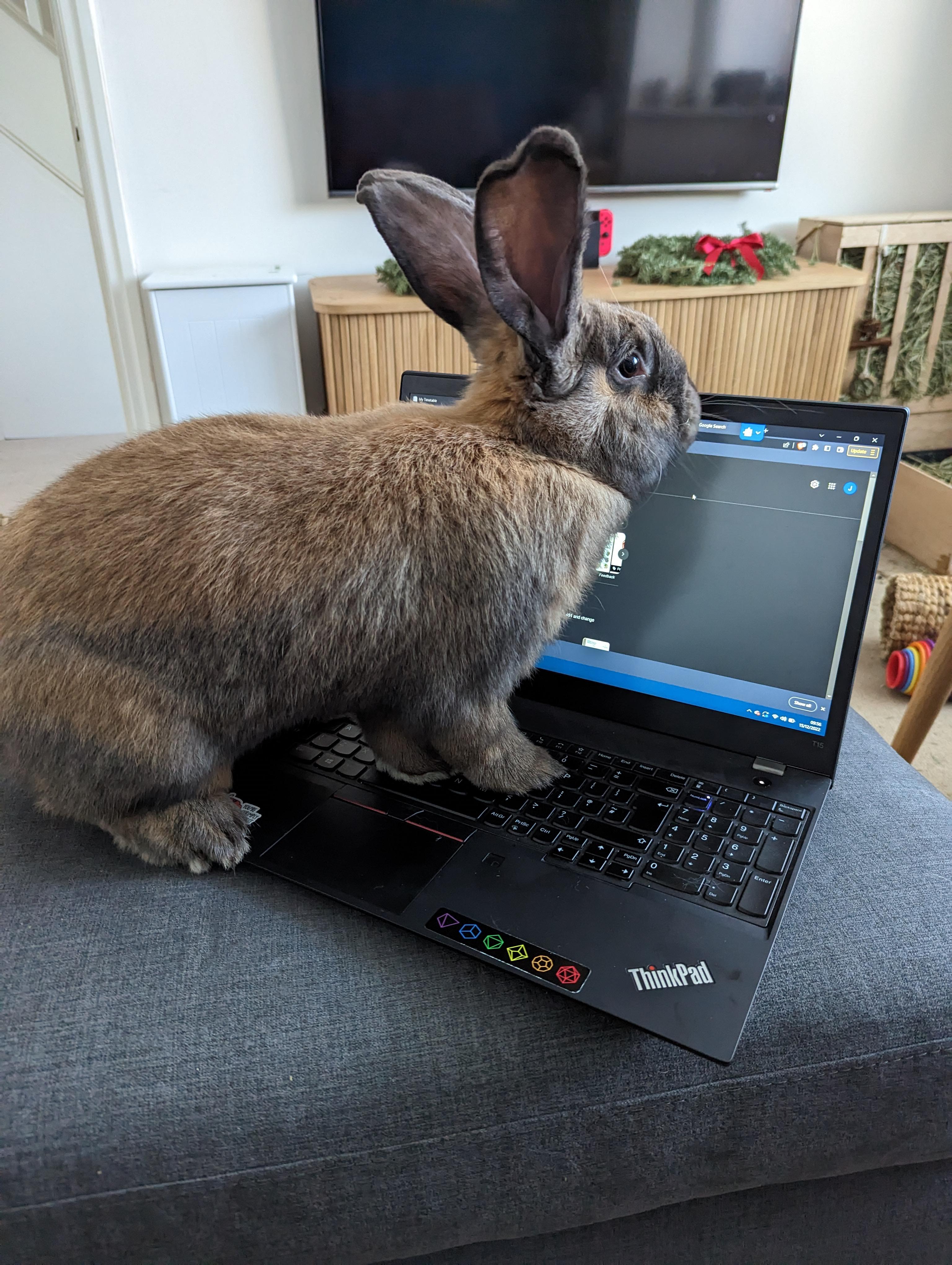 Got to pay the hay bill somehow... | Scrolller