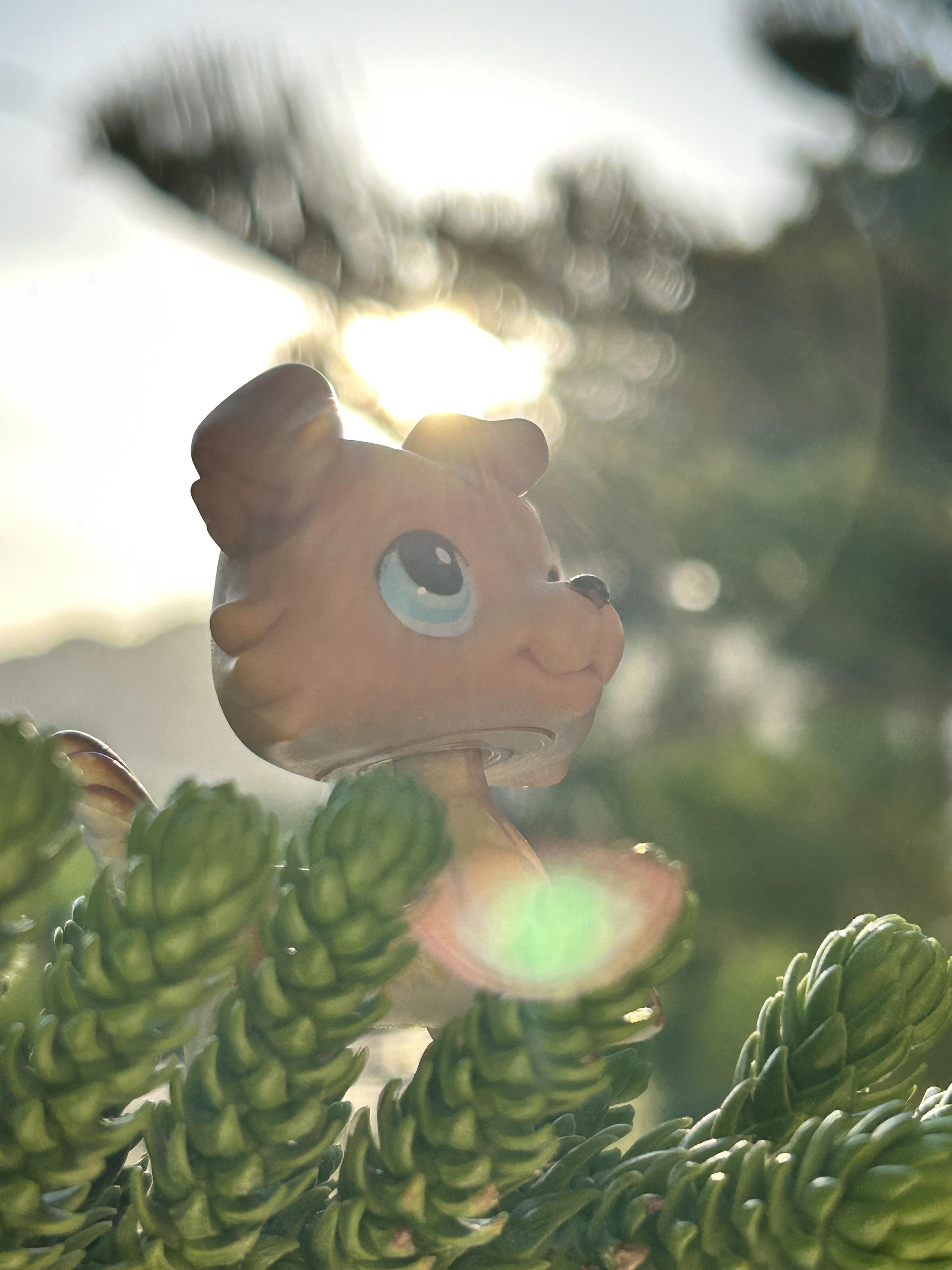 Some photos of my LPS 👀 IG: byclax_ | Scrolller