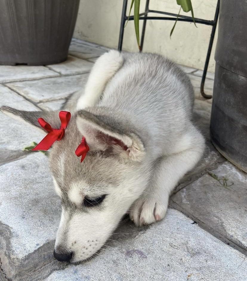 Eda is beautiful | Scrolller