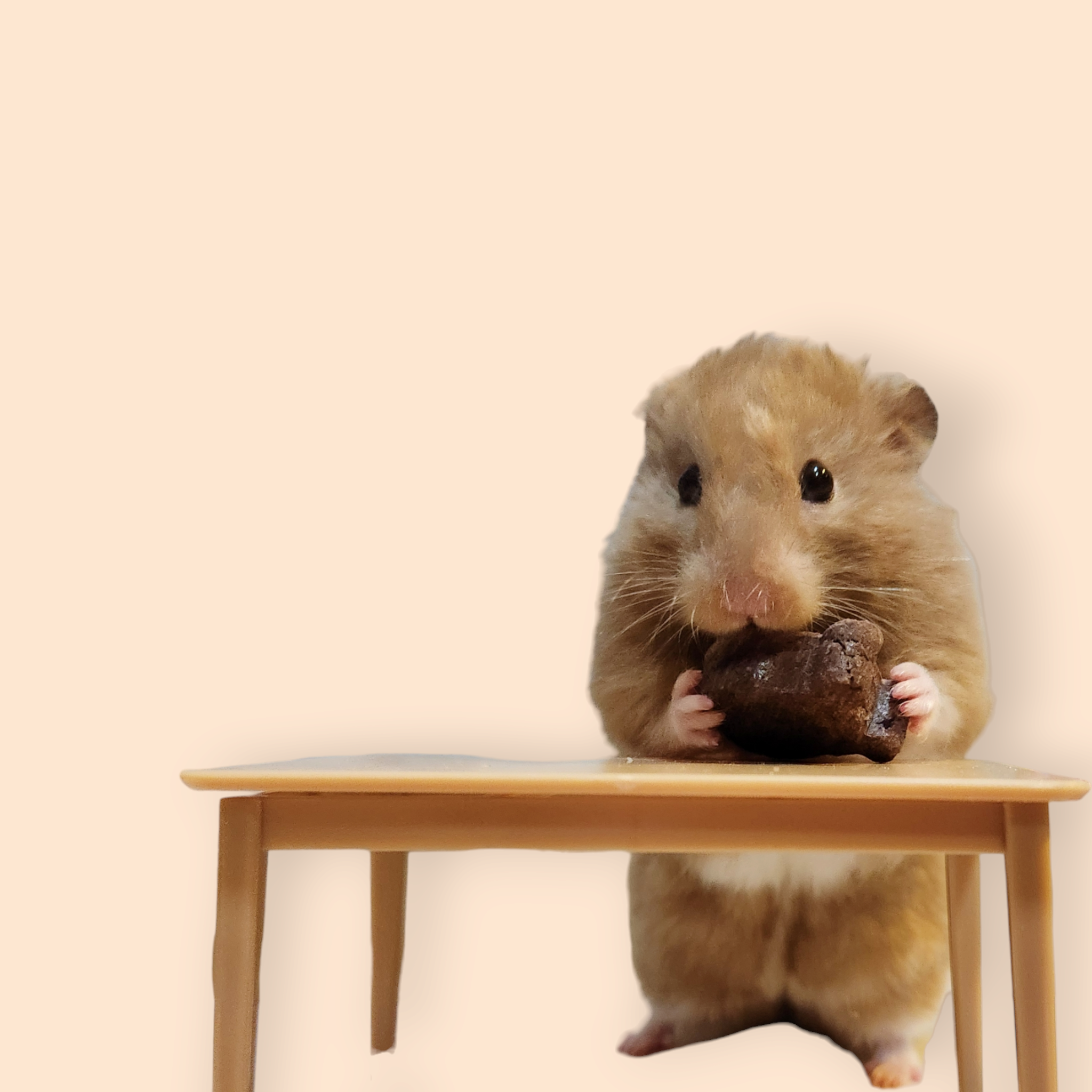 Snacc attack | Scrolller