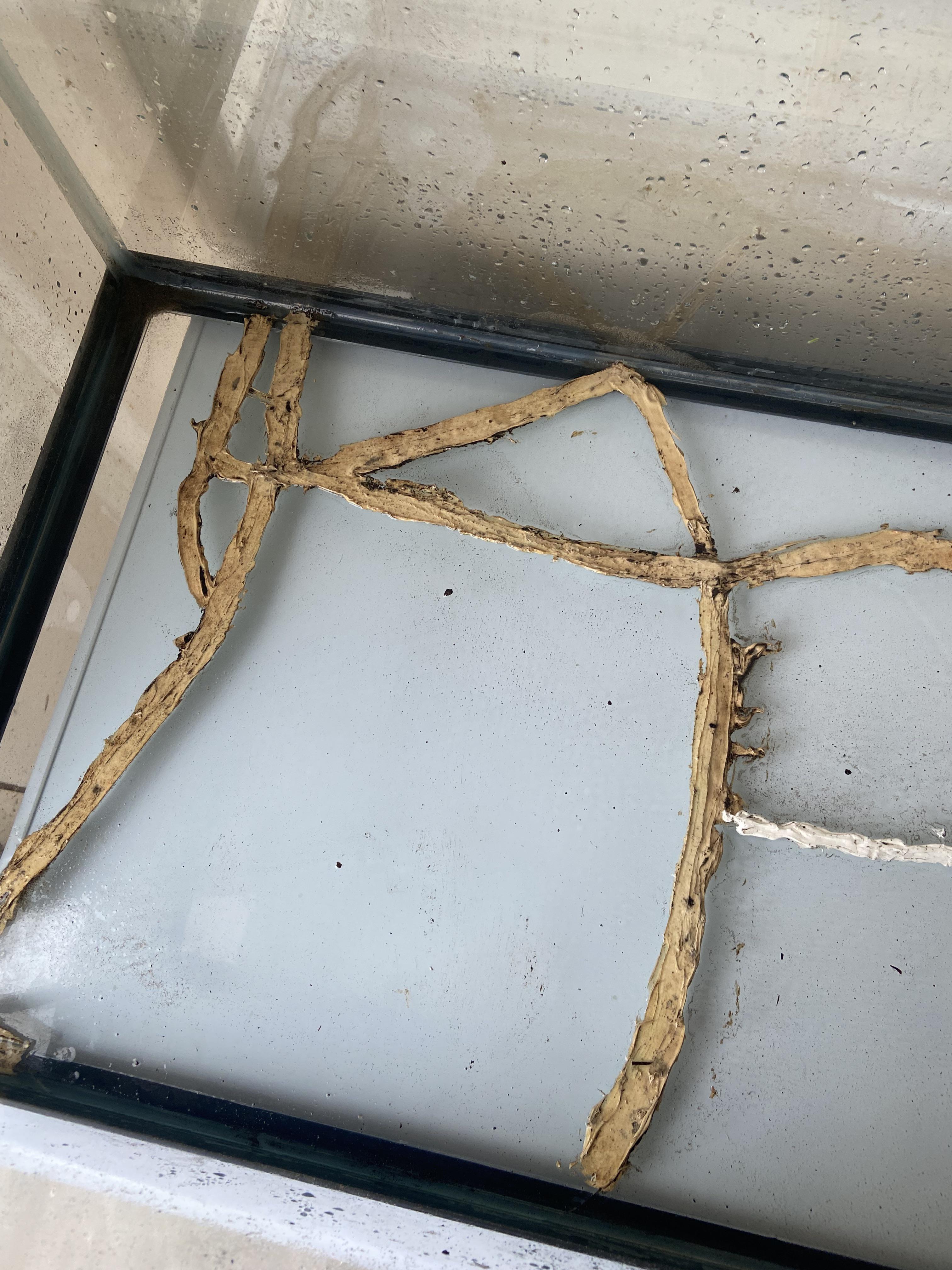 Enclosure (HELP) | Scrolller