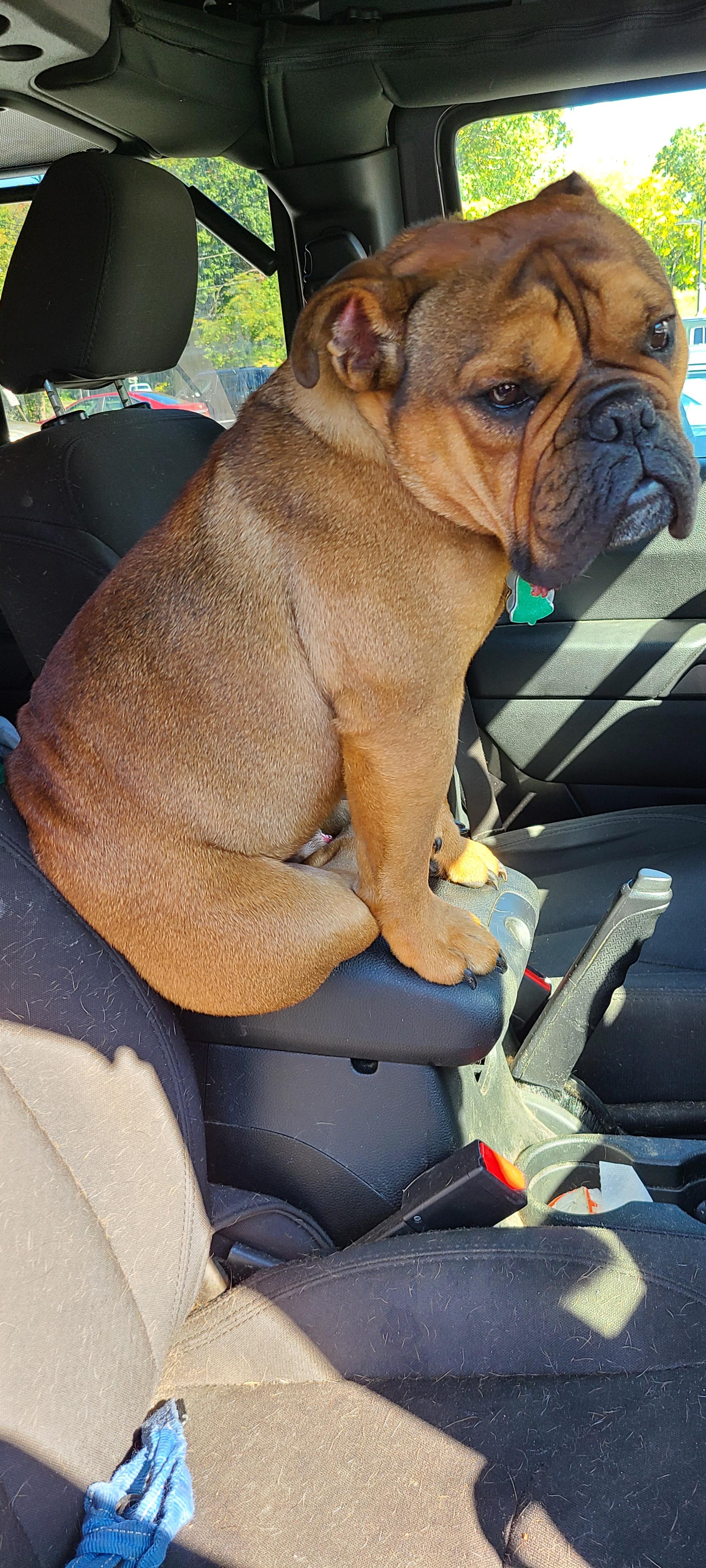 Always take the high ground... | Scrolller