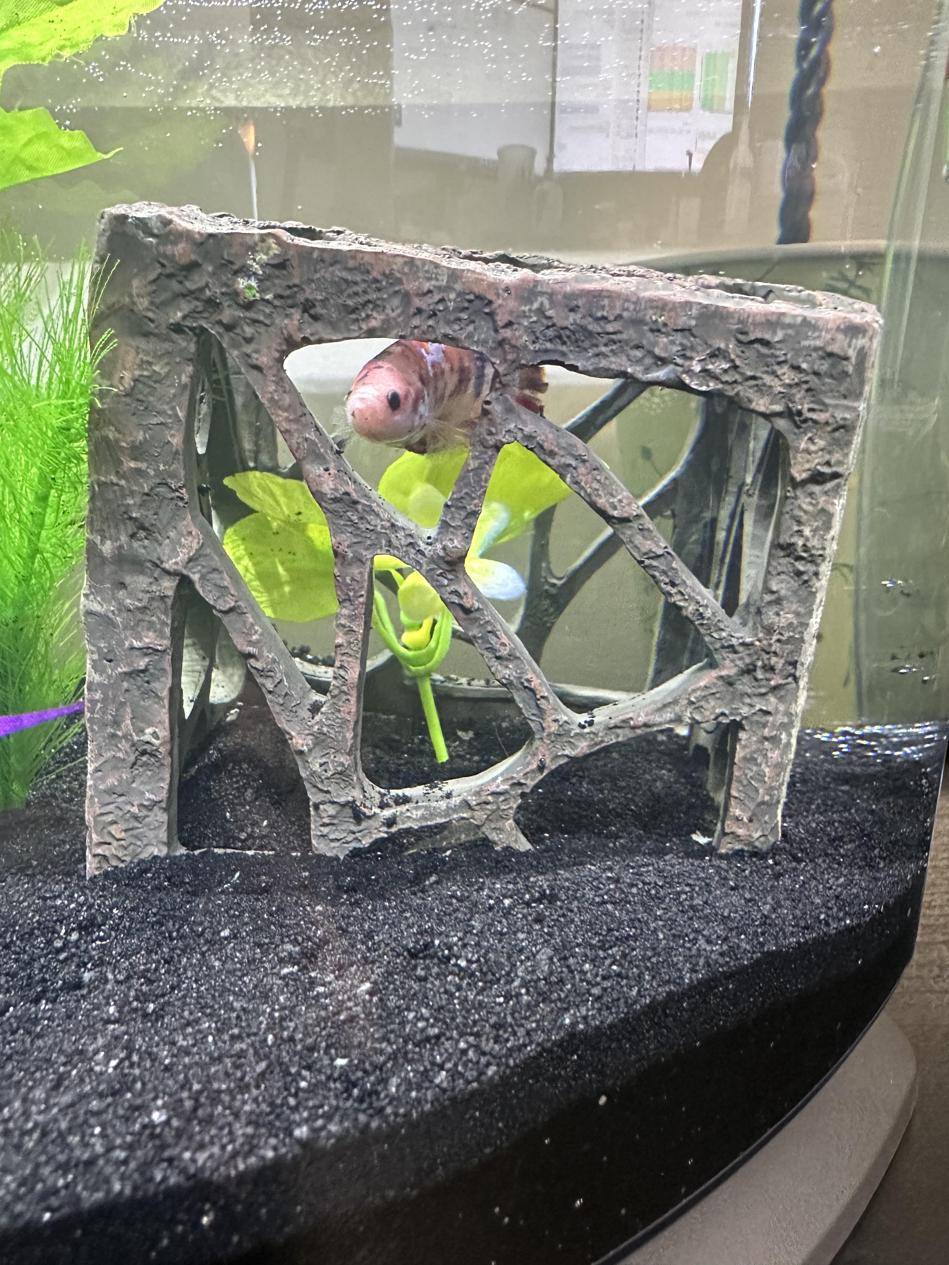 New Tank | Scrolller