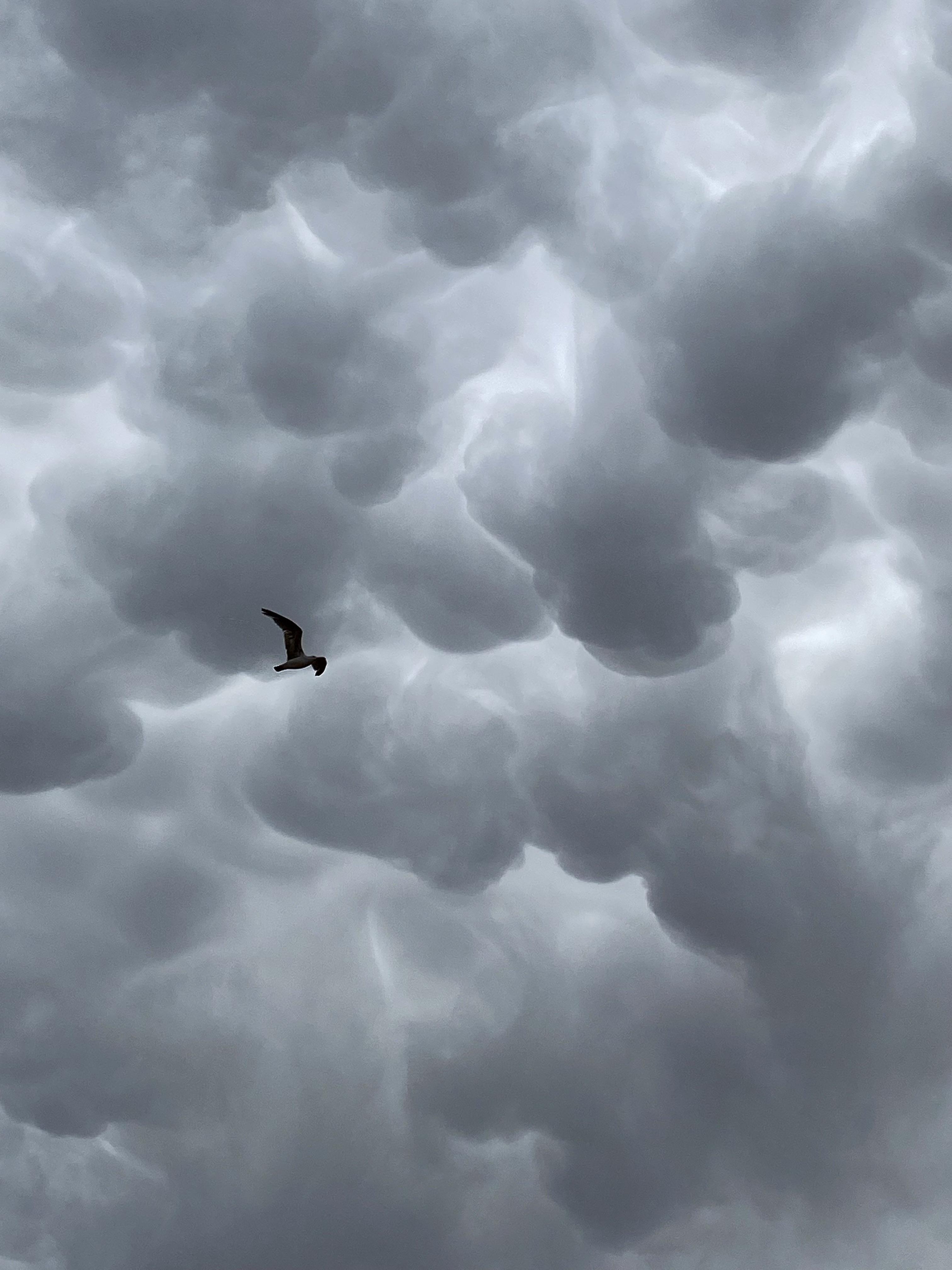 Mammatus clouds | Scrolller
