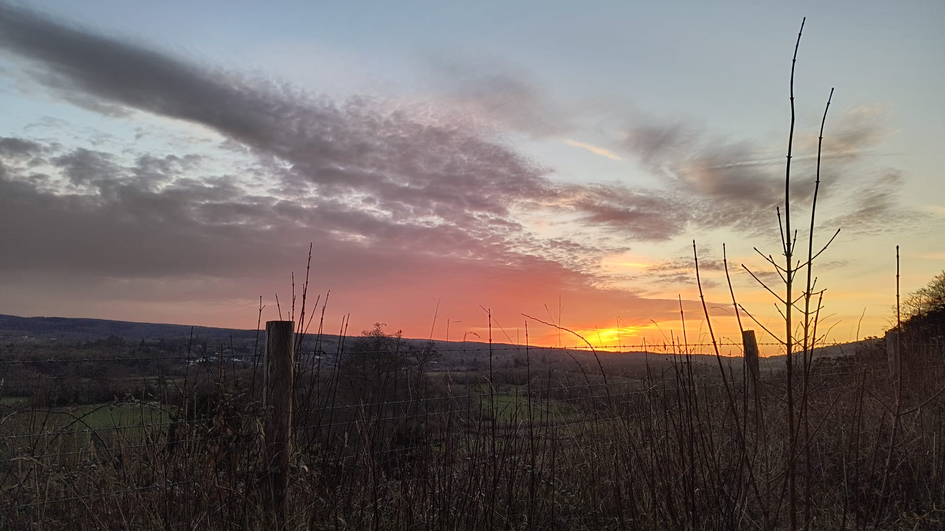 Surrey, England 🌄 | Scrolller