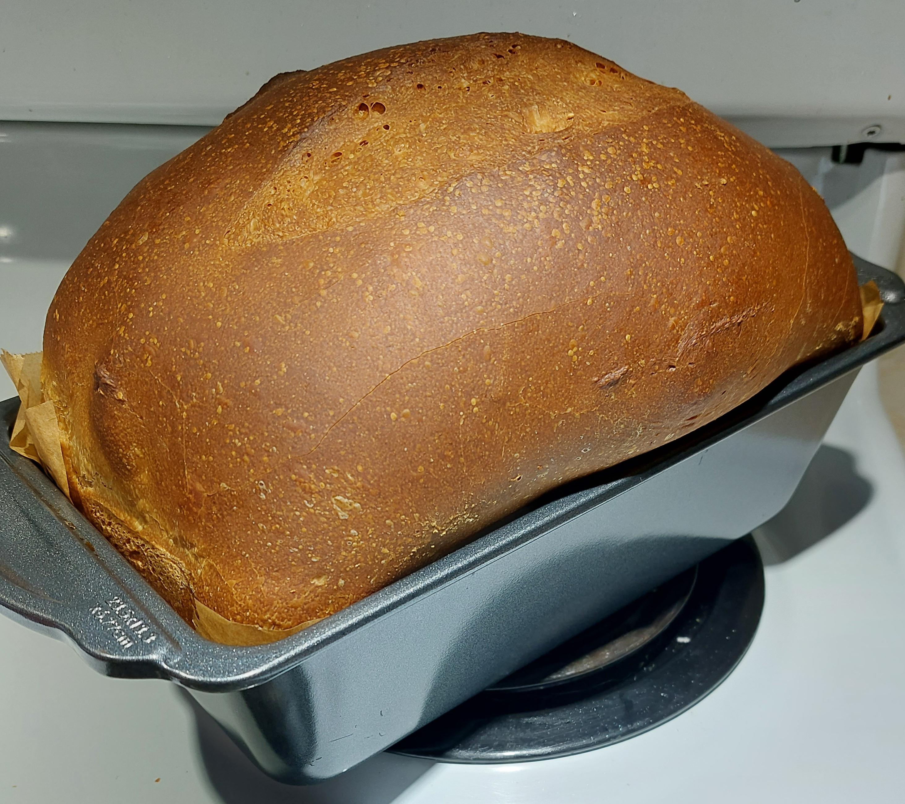 [homemade] bread | Scrolller
