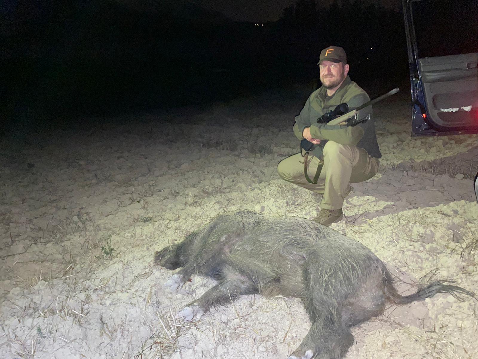 Wild boars hunting | Scrolller