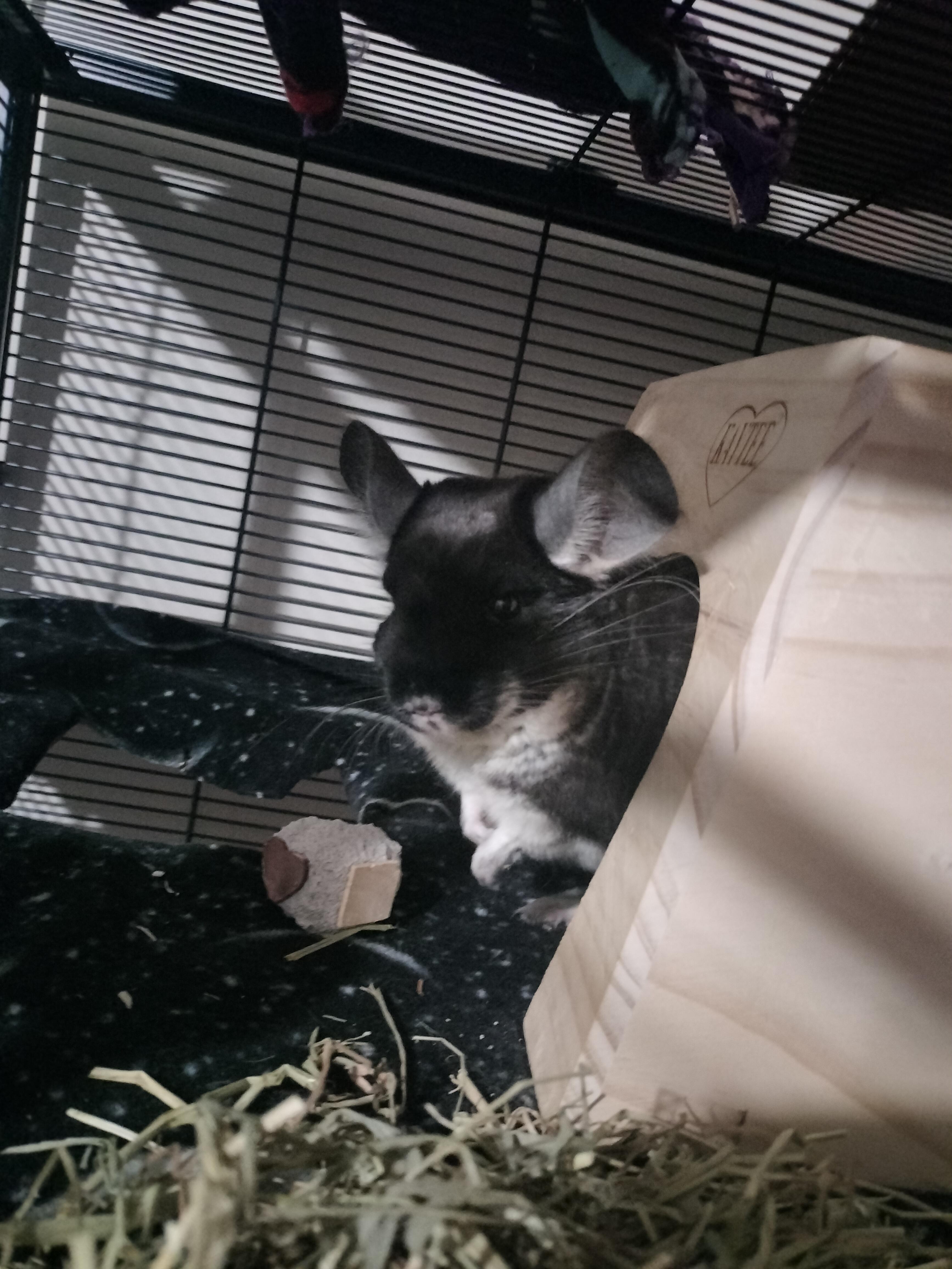 Sassy Girl | Scrolller