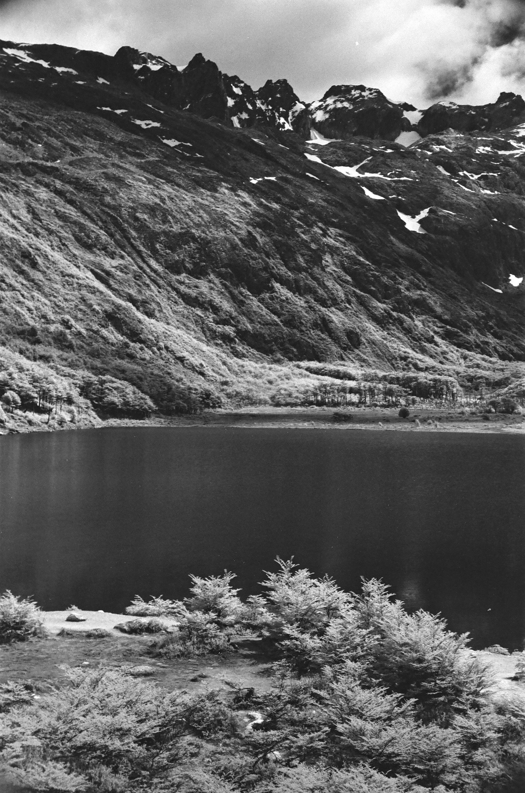 Infrared film shot on Rollei 400 | Scrolller