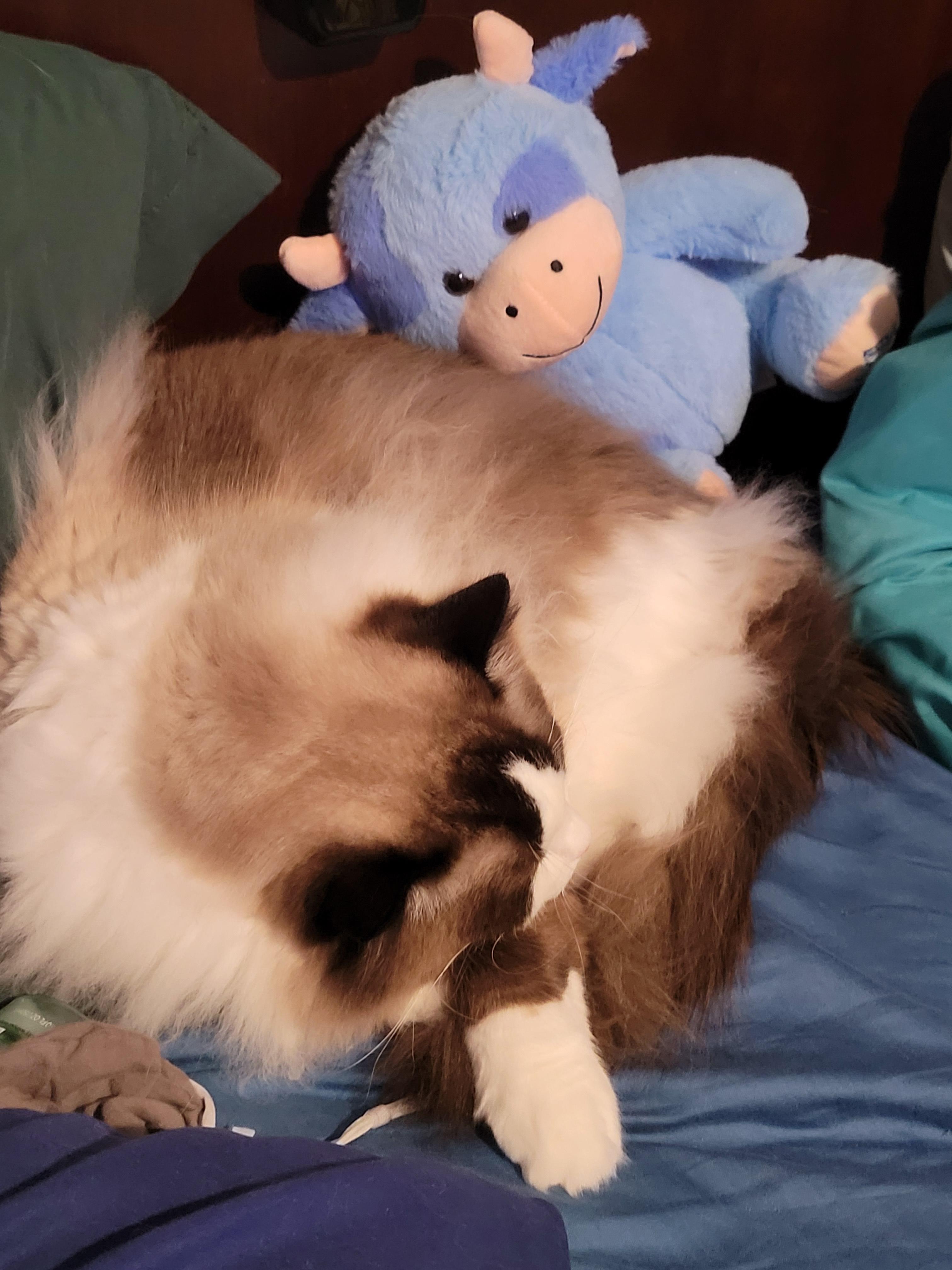 [OC] More Azazel | Scrolller