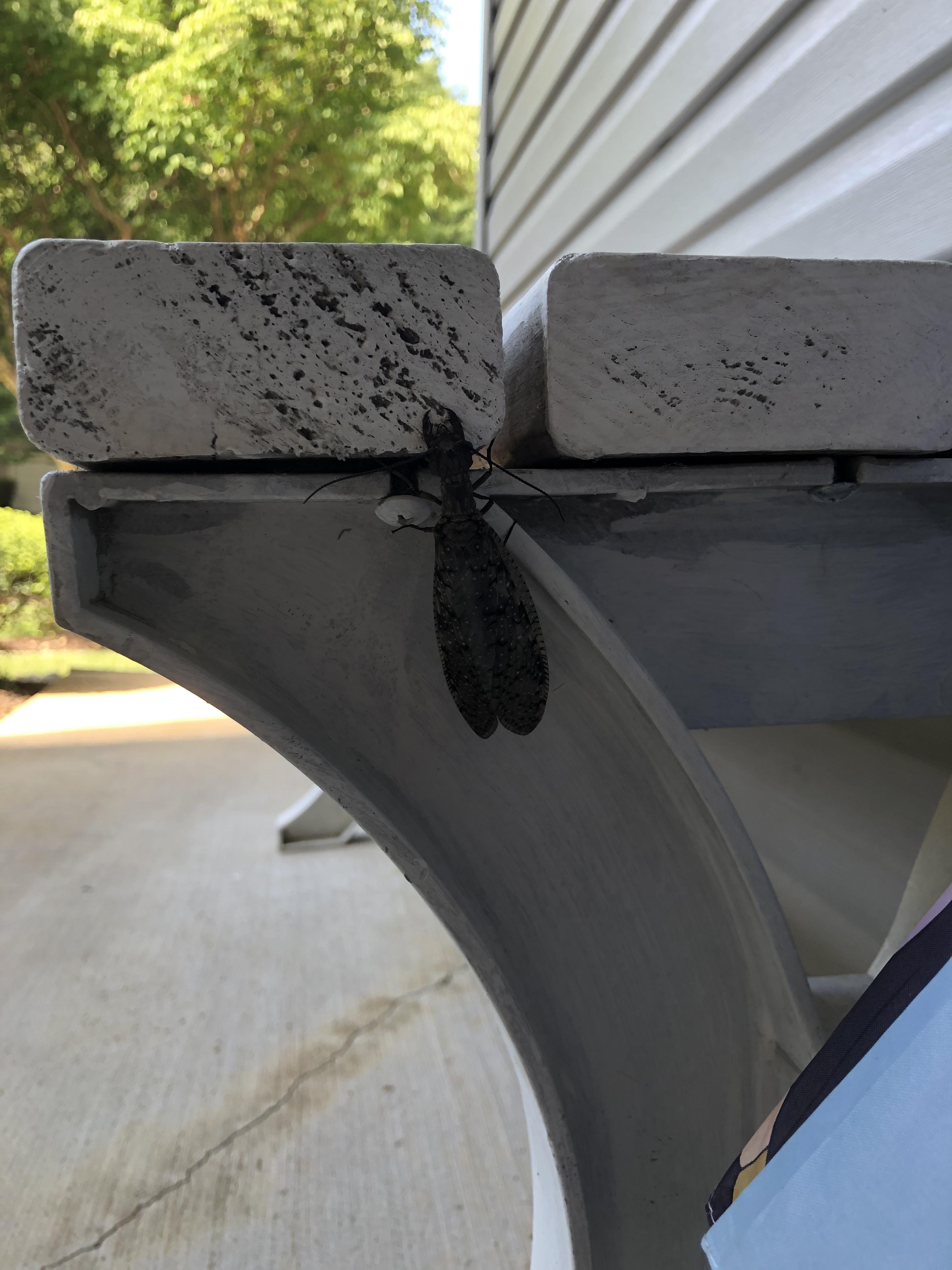 Baltimore Maryland | Scrolller