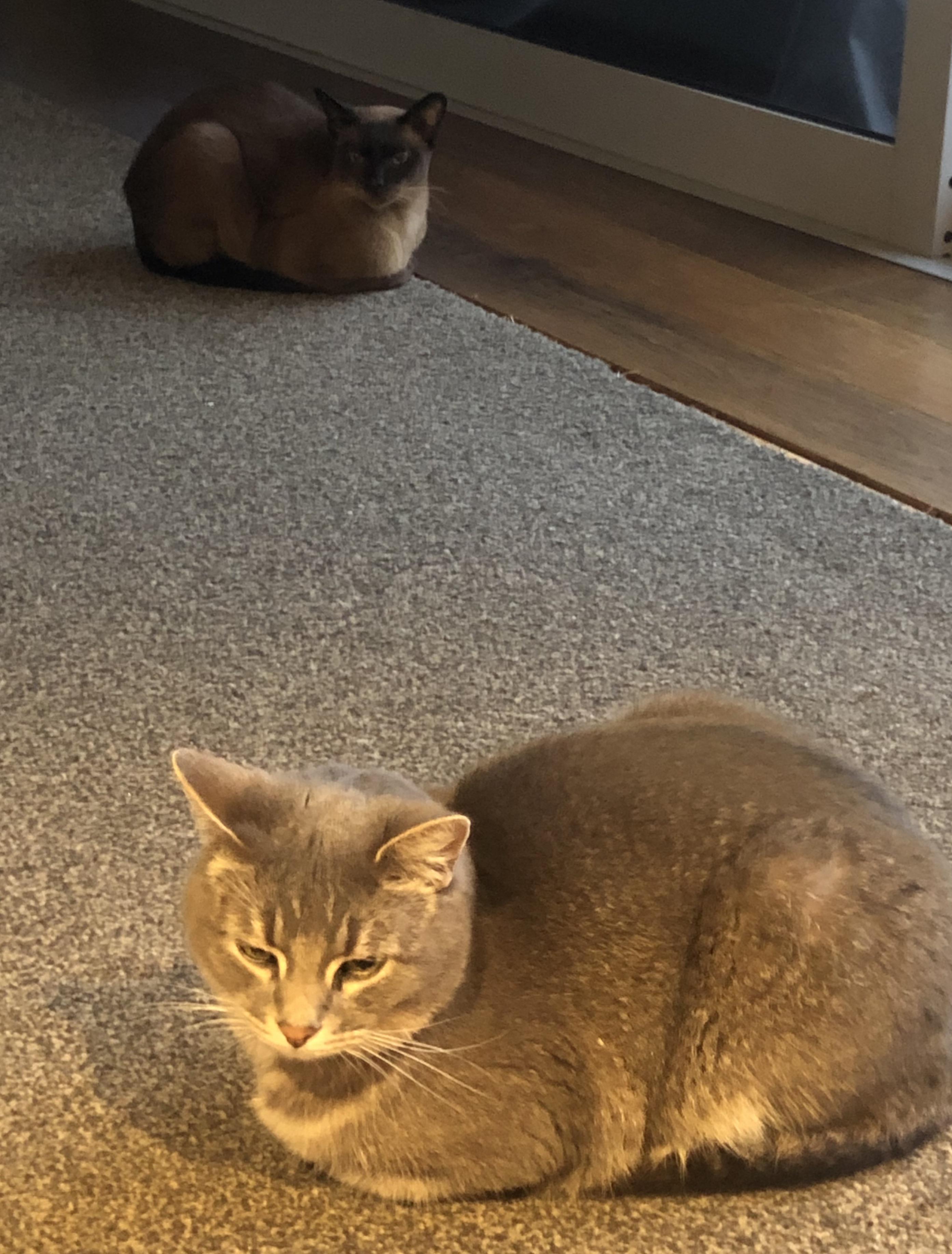 Rare double loaves | Scrolller