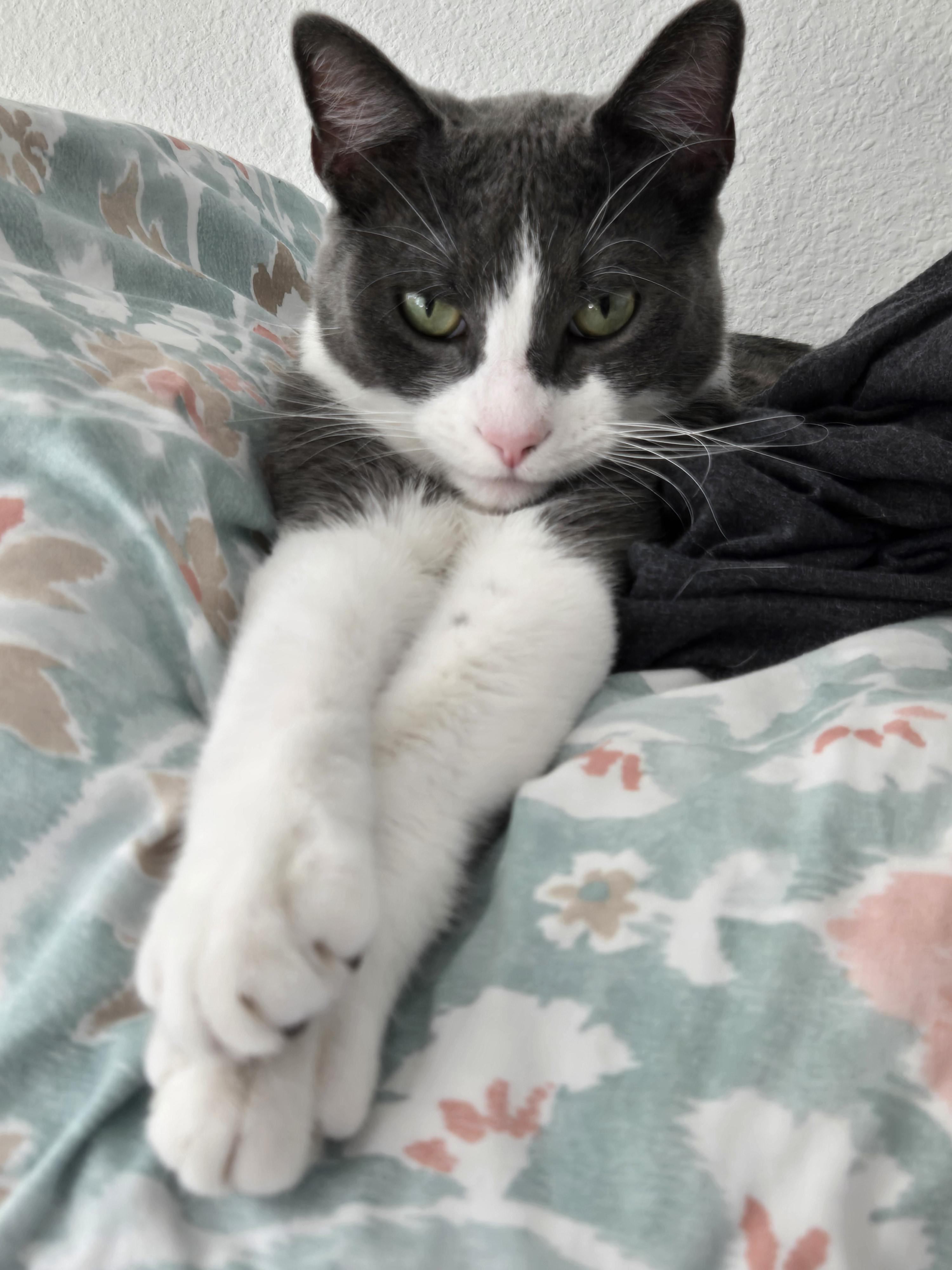 Rare seductive pose from Dusty | Scrolller