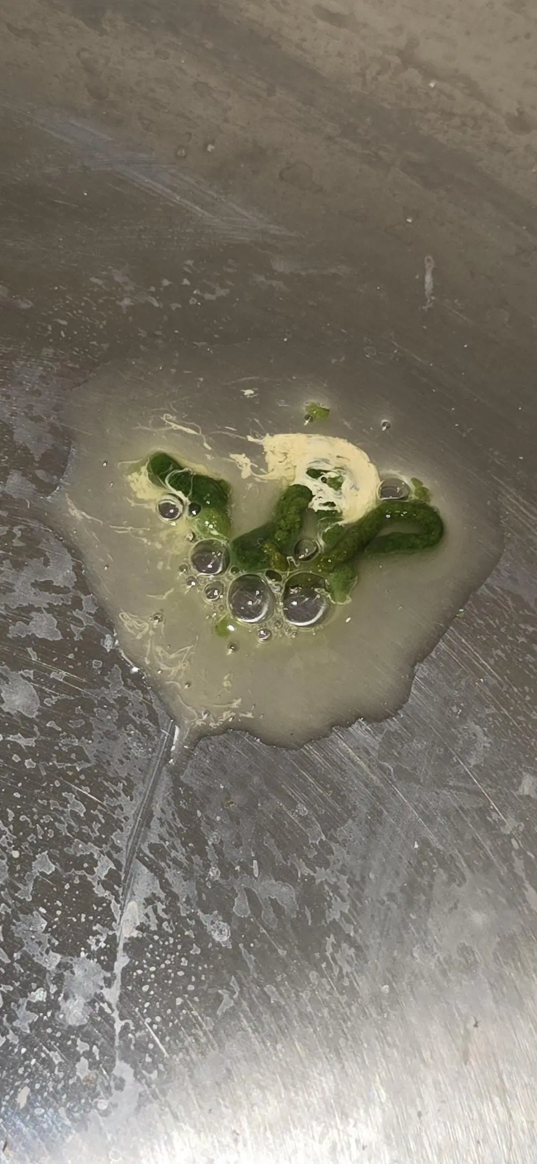 Rate my cockatoo poop. Does this look normal | Scrolller