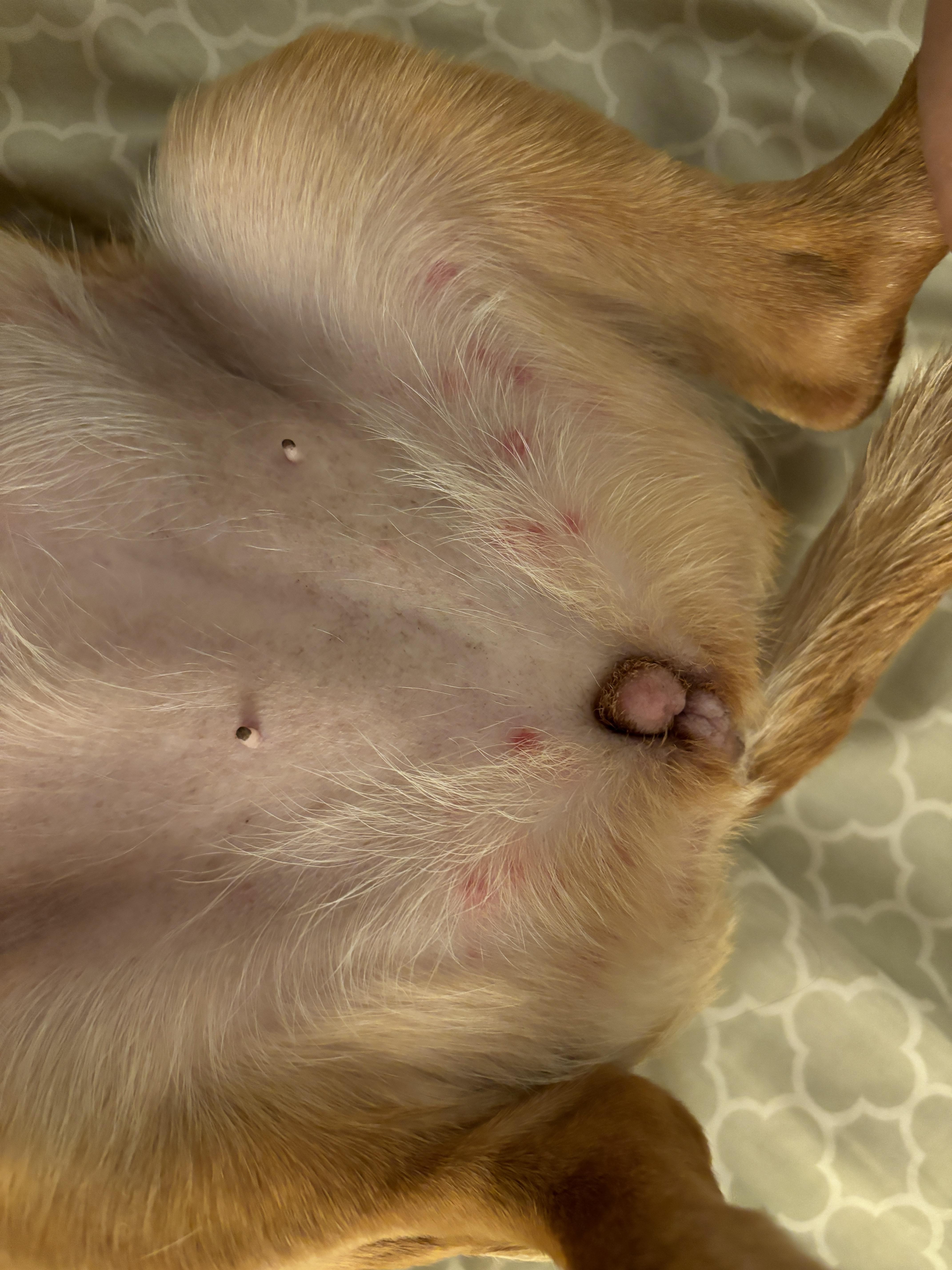 Mystery bumps | Scrolller