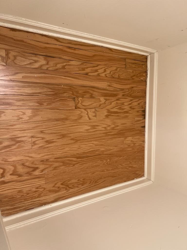 What is the extent of Hard wood water damage | Scrolller