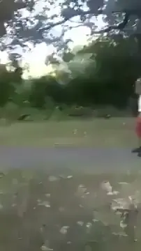 Real life grab and smash | Scrolller