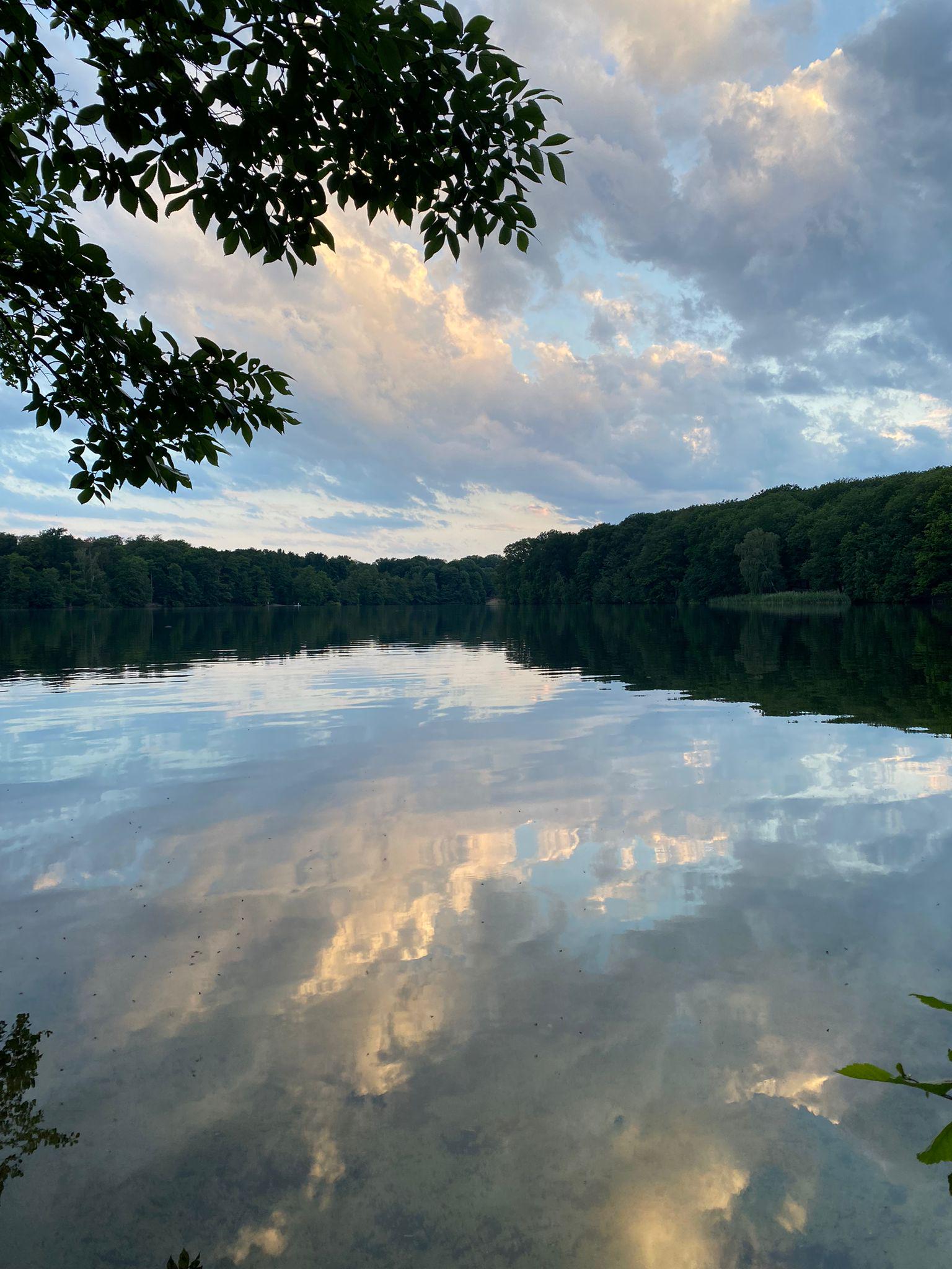 Reflection | Scrolller