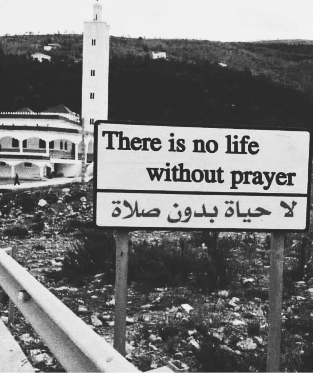 Remember | Scrolller