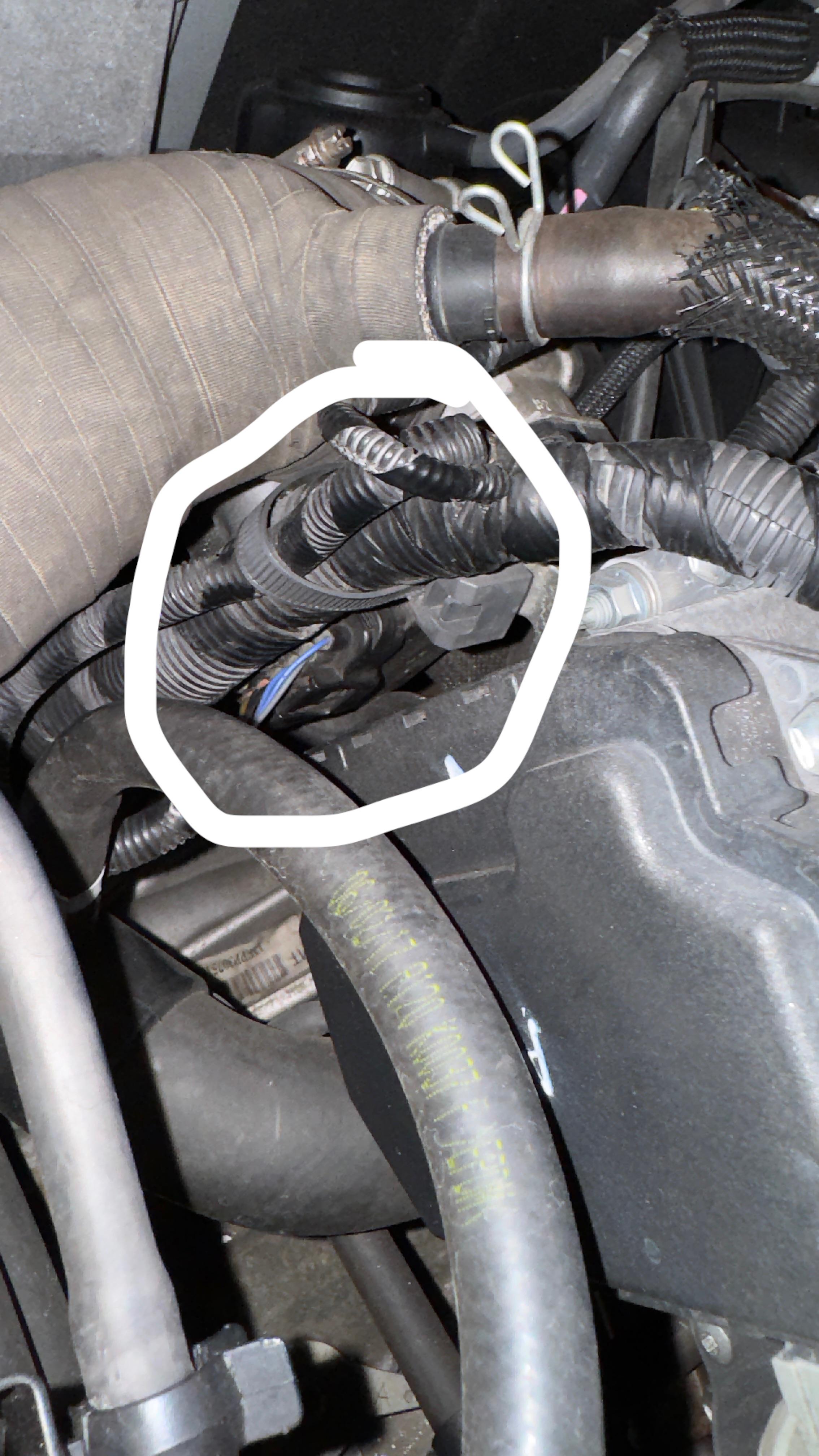 Resolved Lotus Elise S3 Limp Mode Issue | Scrolller