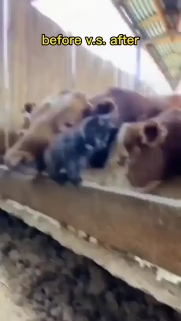 Respect earned. | Scrolller