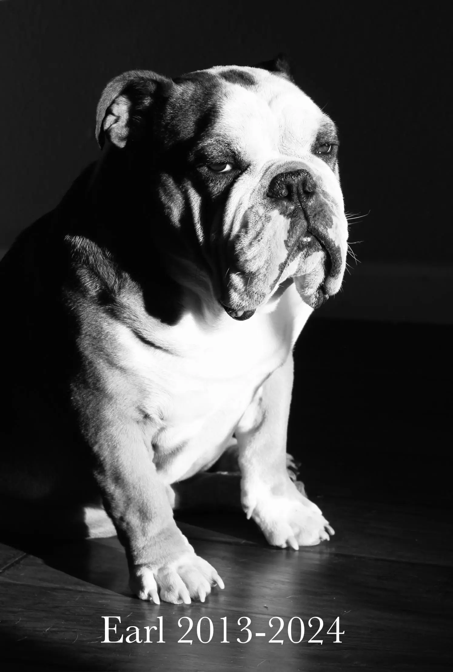 Rest in peace old friend 💛 | Scrolller