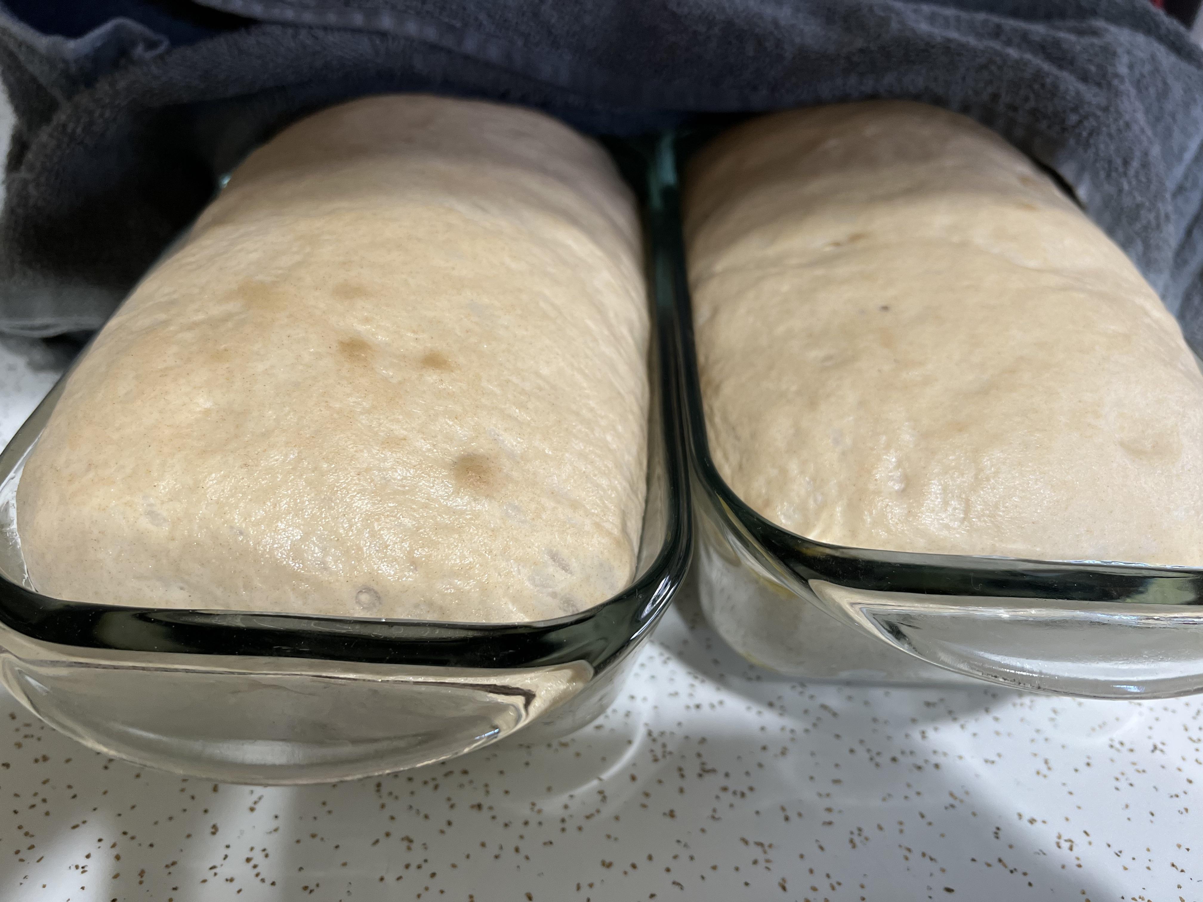 Family Sandwich Bread | Scrolller