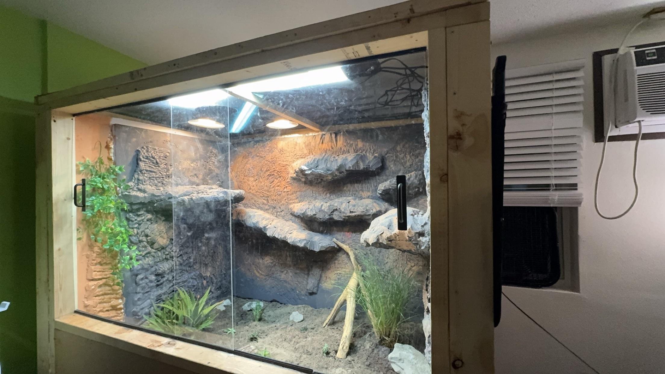 Finished Reptile Mansion :) | Scrolller