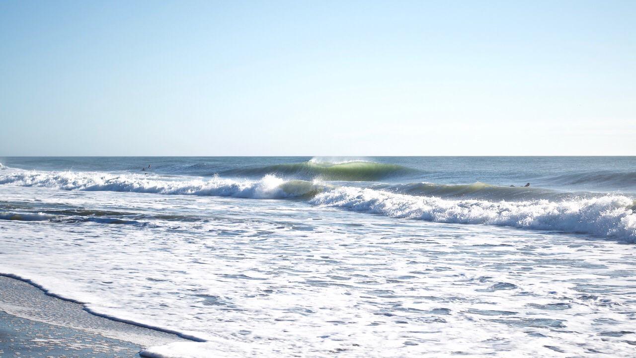 Coastal NC 💚 | Scrolller