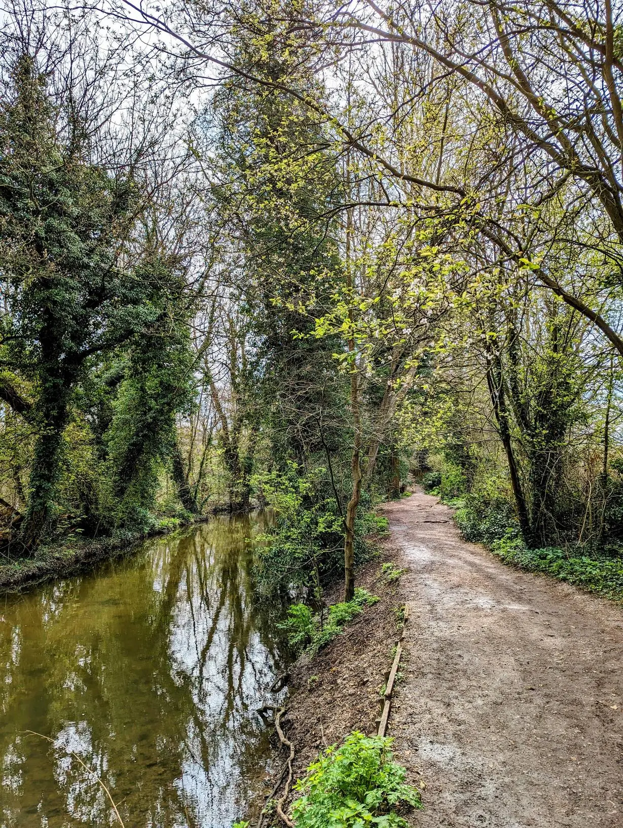 Riverside | Scrolller