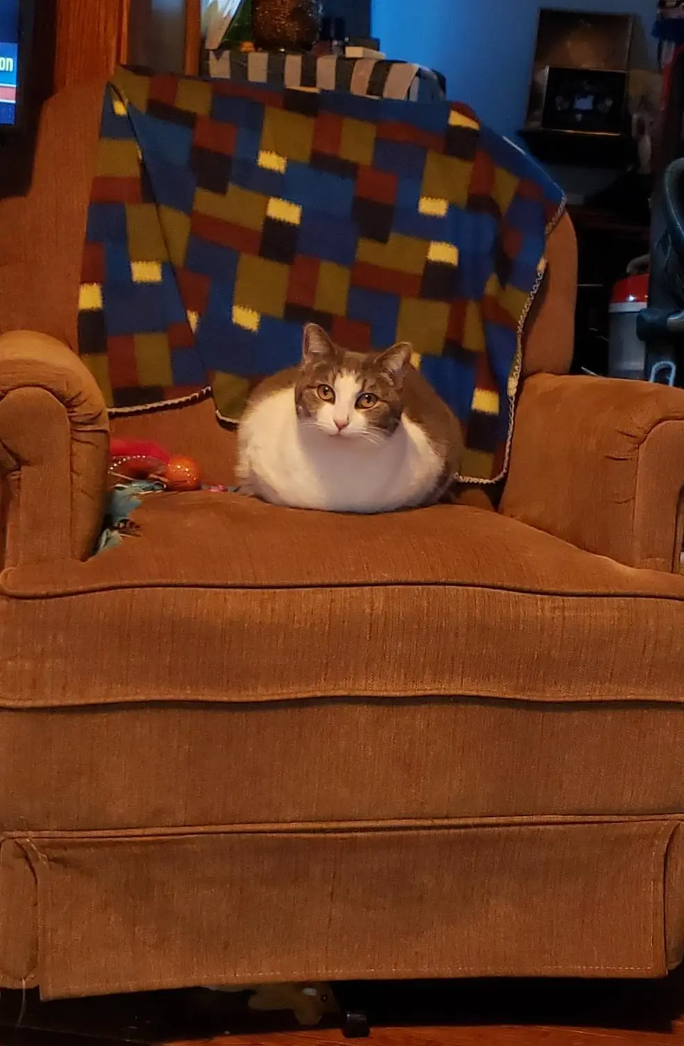 Round Loaf! | Scrolller