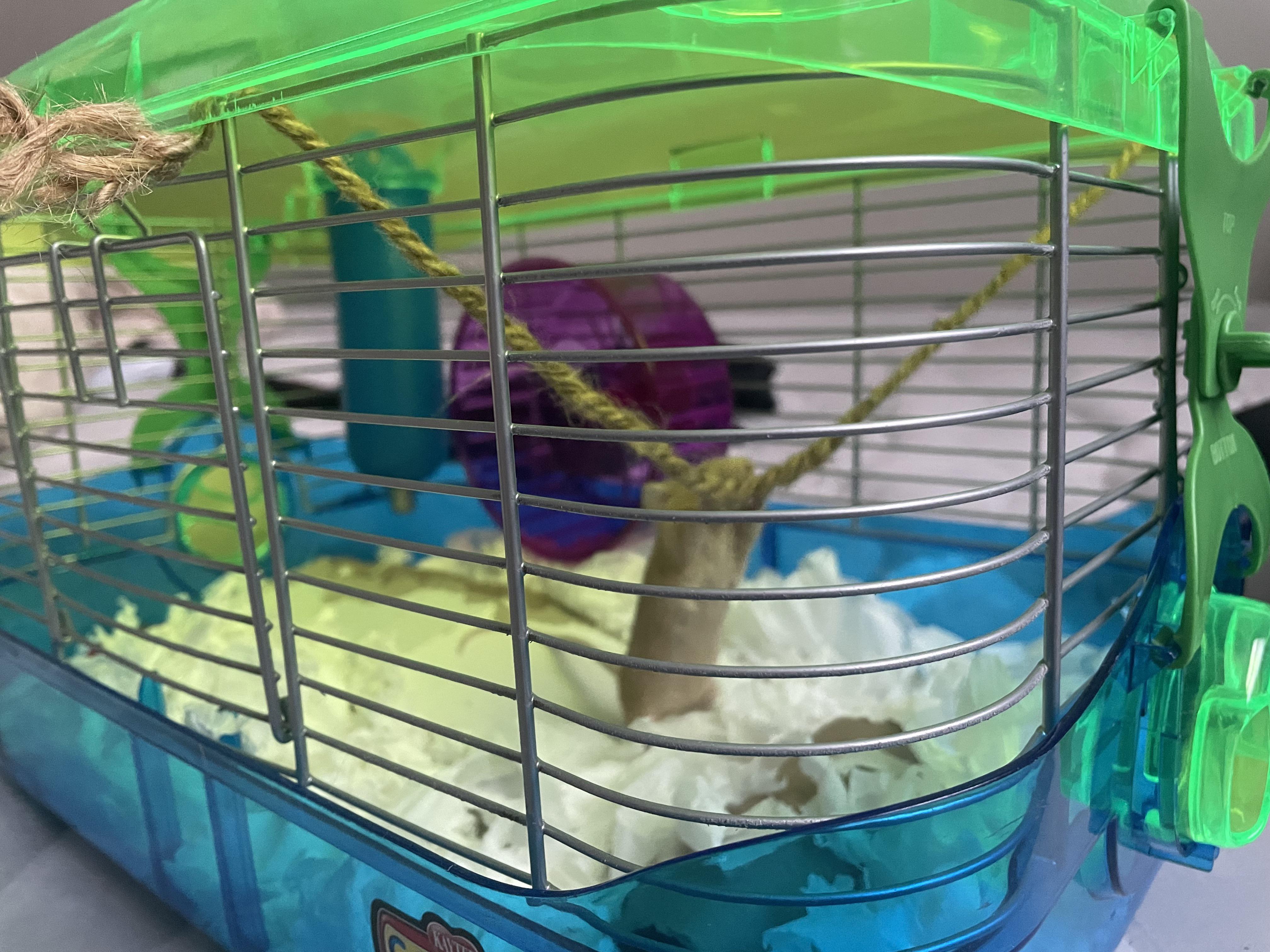 More upgrades!!! | Scrolller