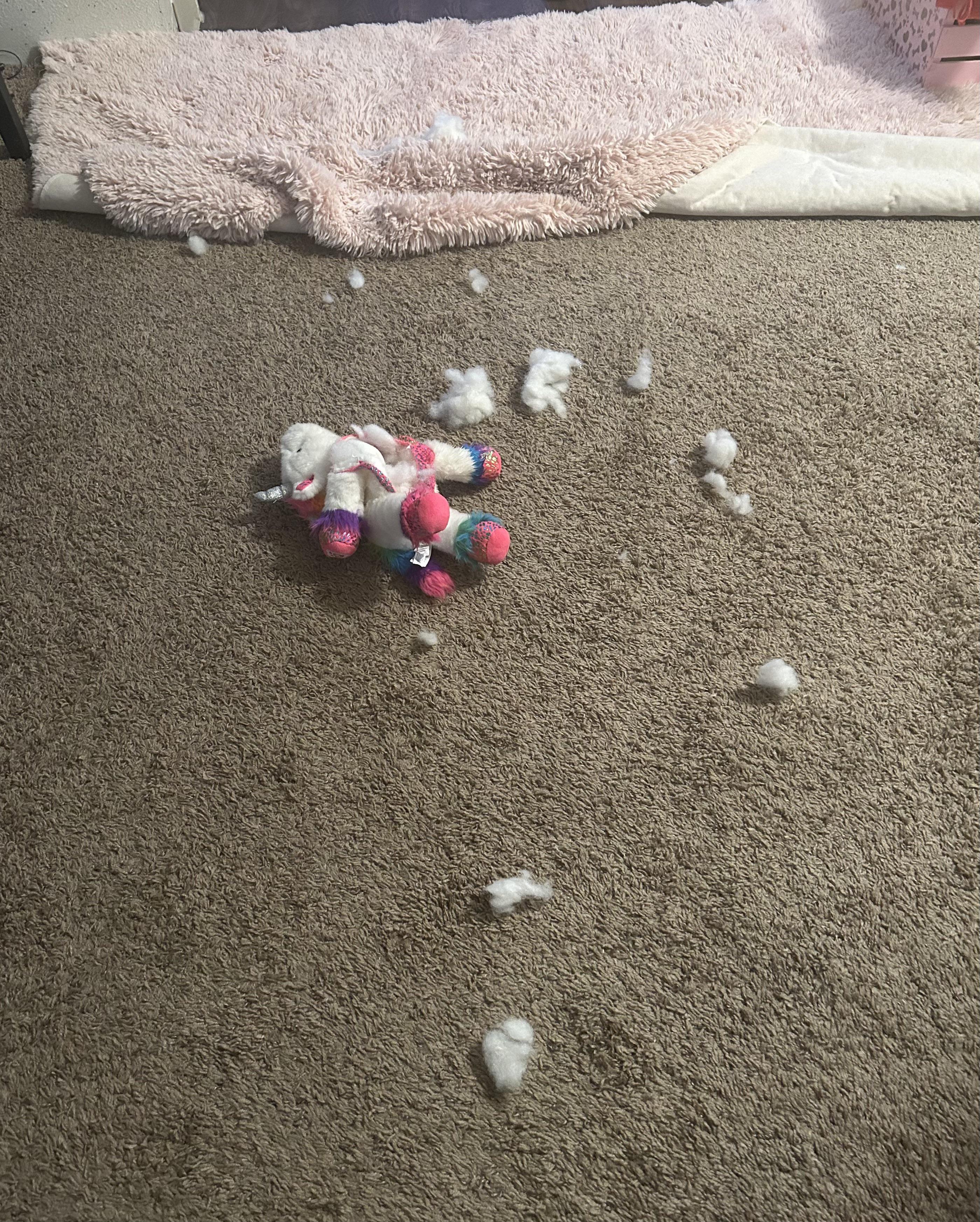 There’s been a murder! There are 2 suspects, Isis (white whippet) and Nova (brown rescue). Make ...