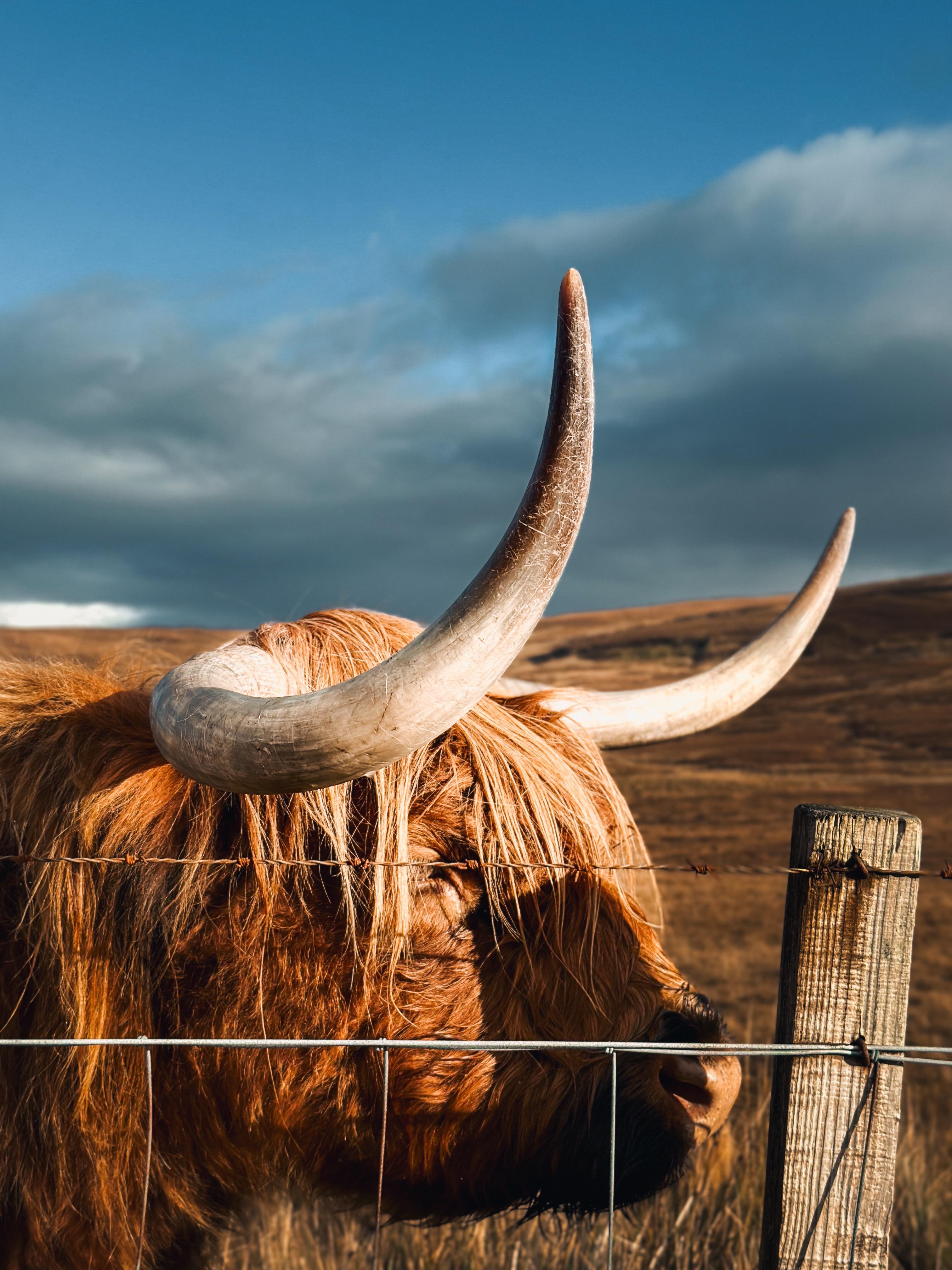 Isle of Skye | Scrolller