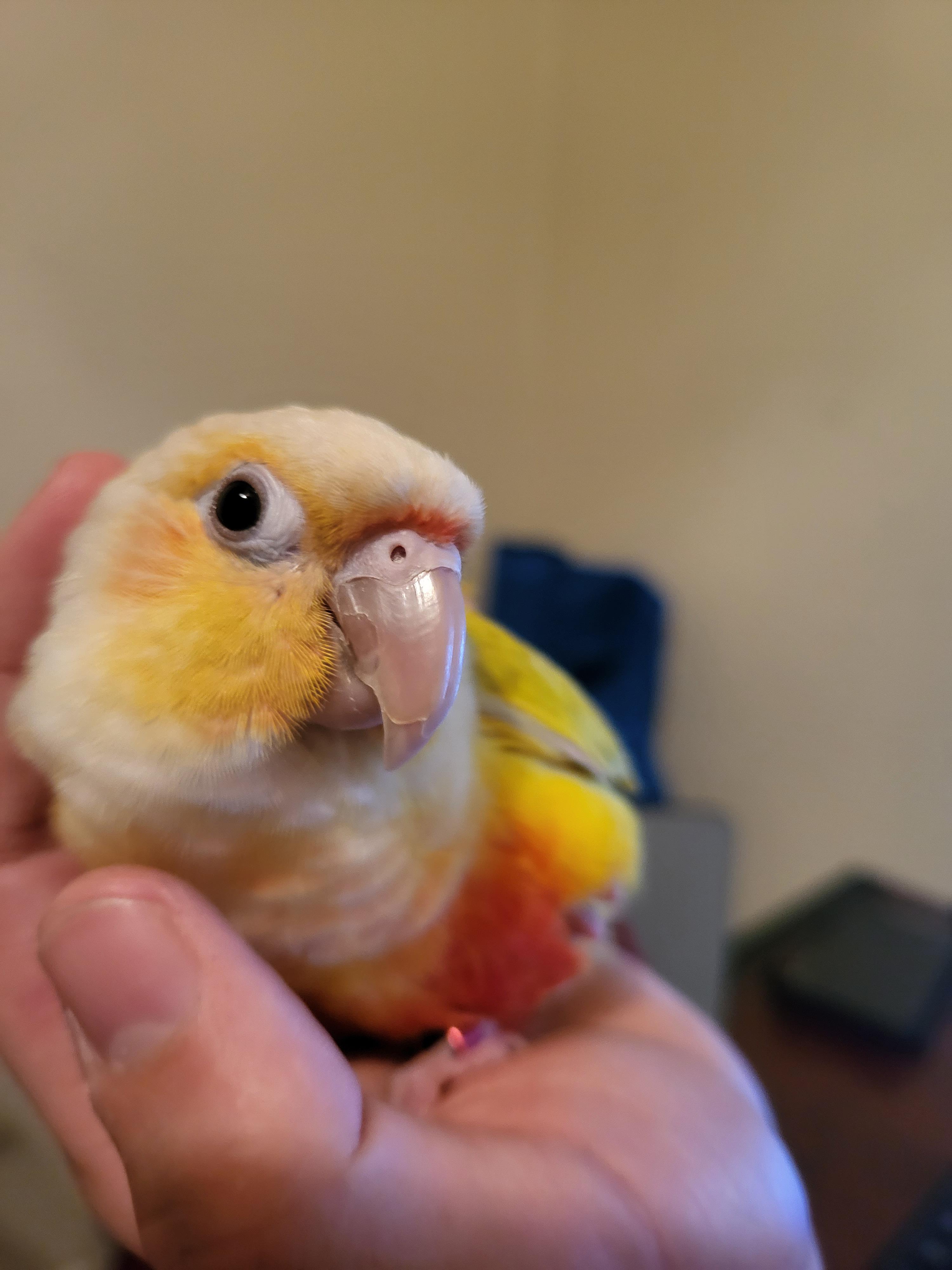 There are no pictures of Ellie that don't make her look like she was caught mid-crime | Scrolller