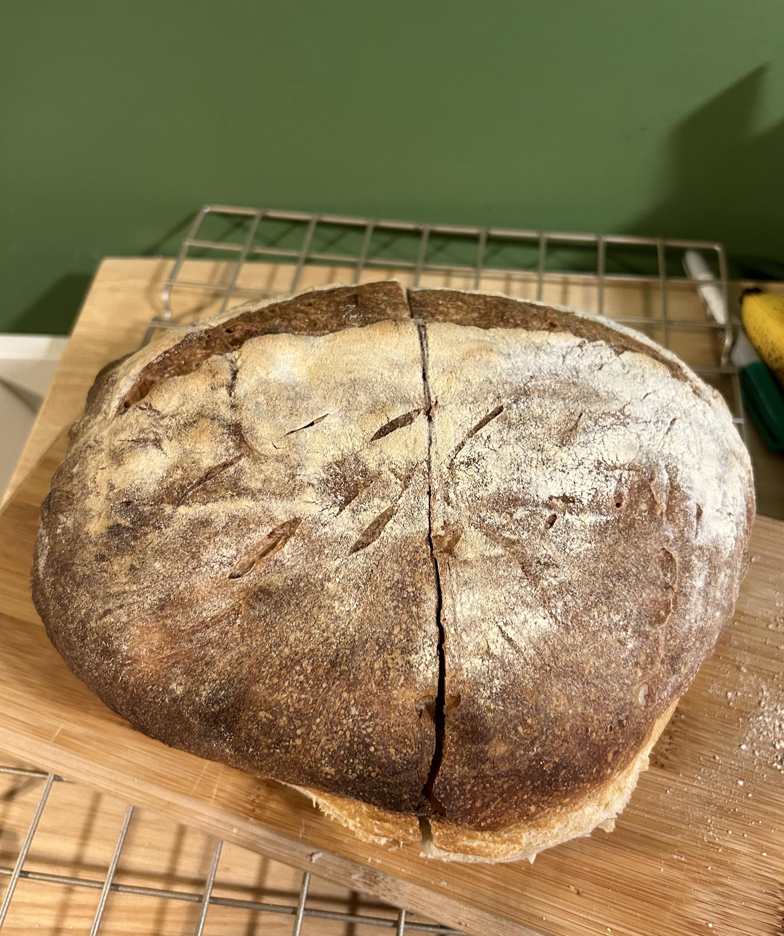 First time making bread with poolish! How’s my crumb look? | Scrolller