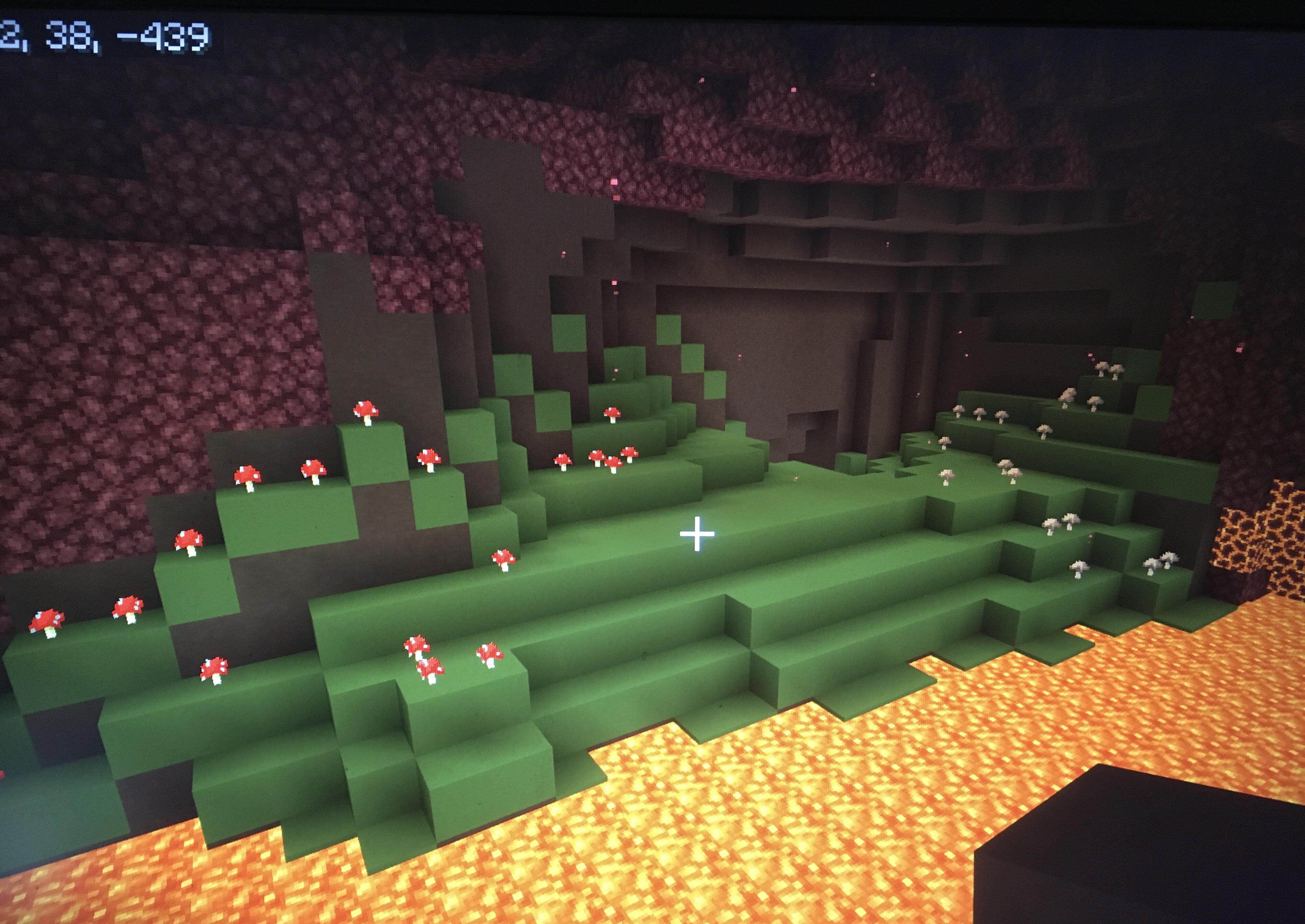 Transforming the Nether! | Scrolller