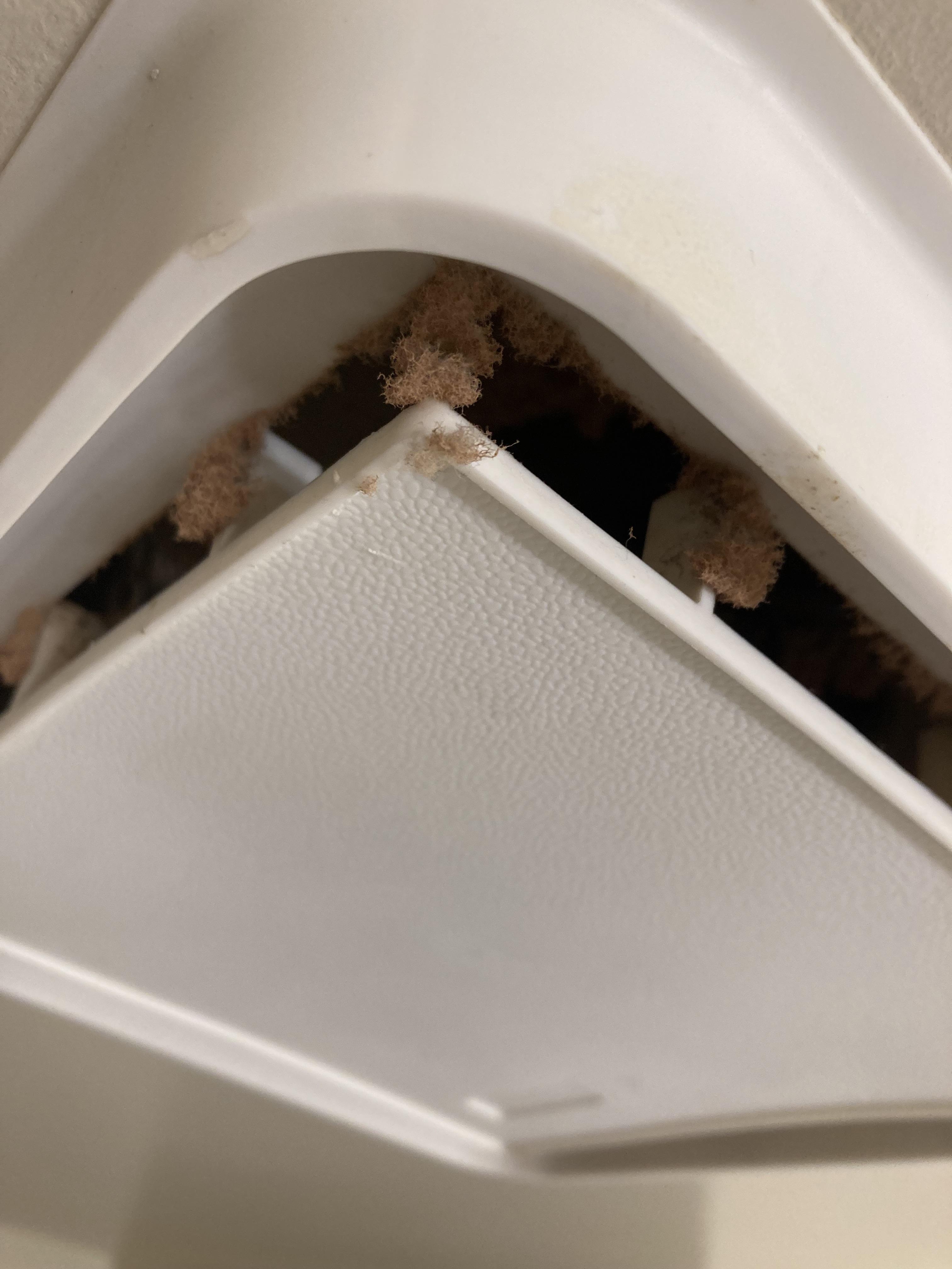 Bathroom ceiling fan | Scrolller