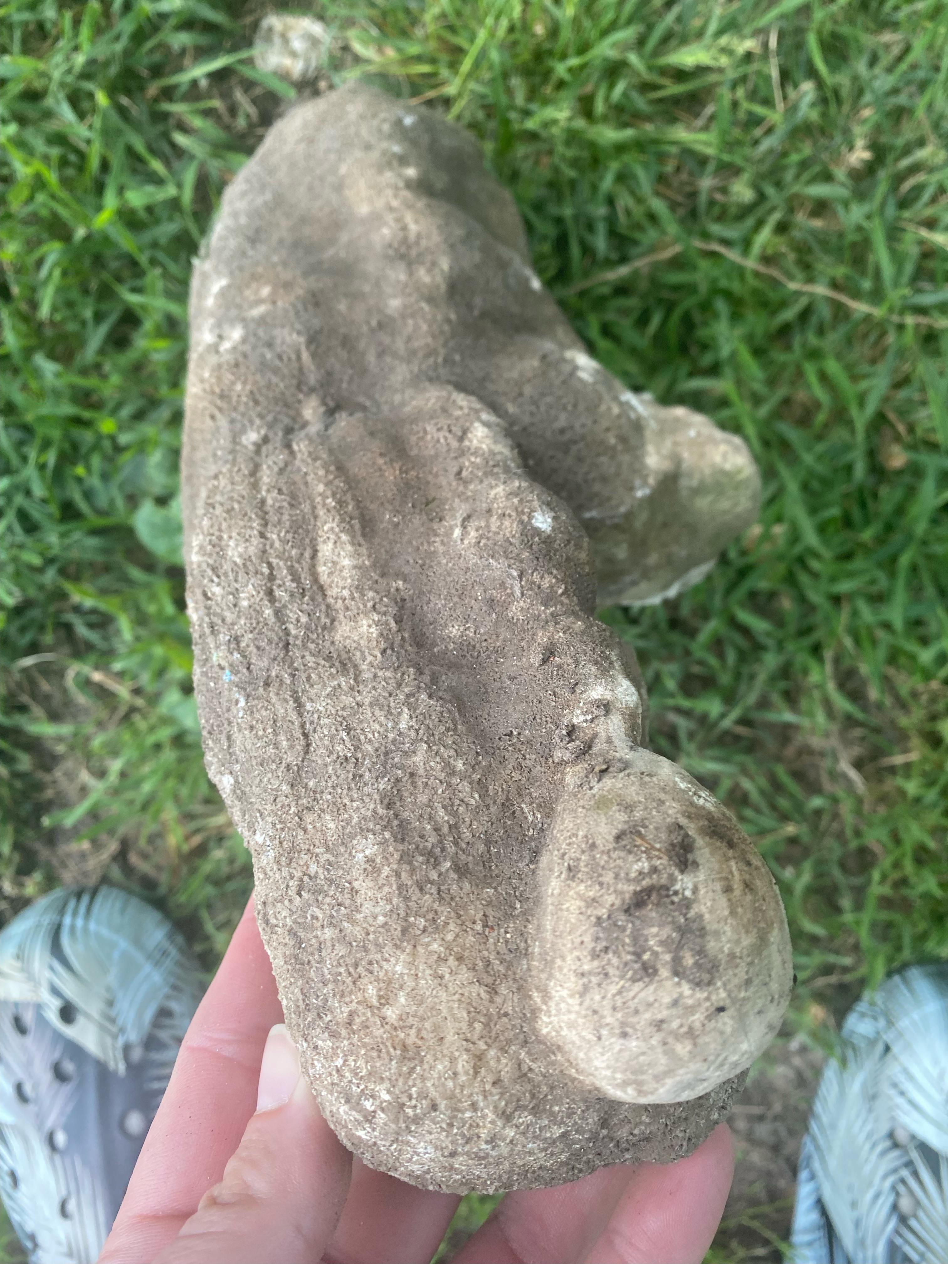 East Tennessee. Is this a fossil? | Scrolller