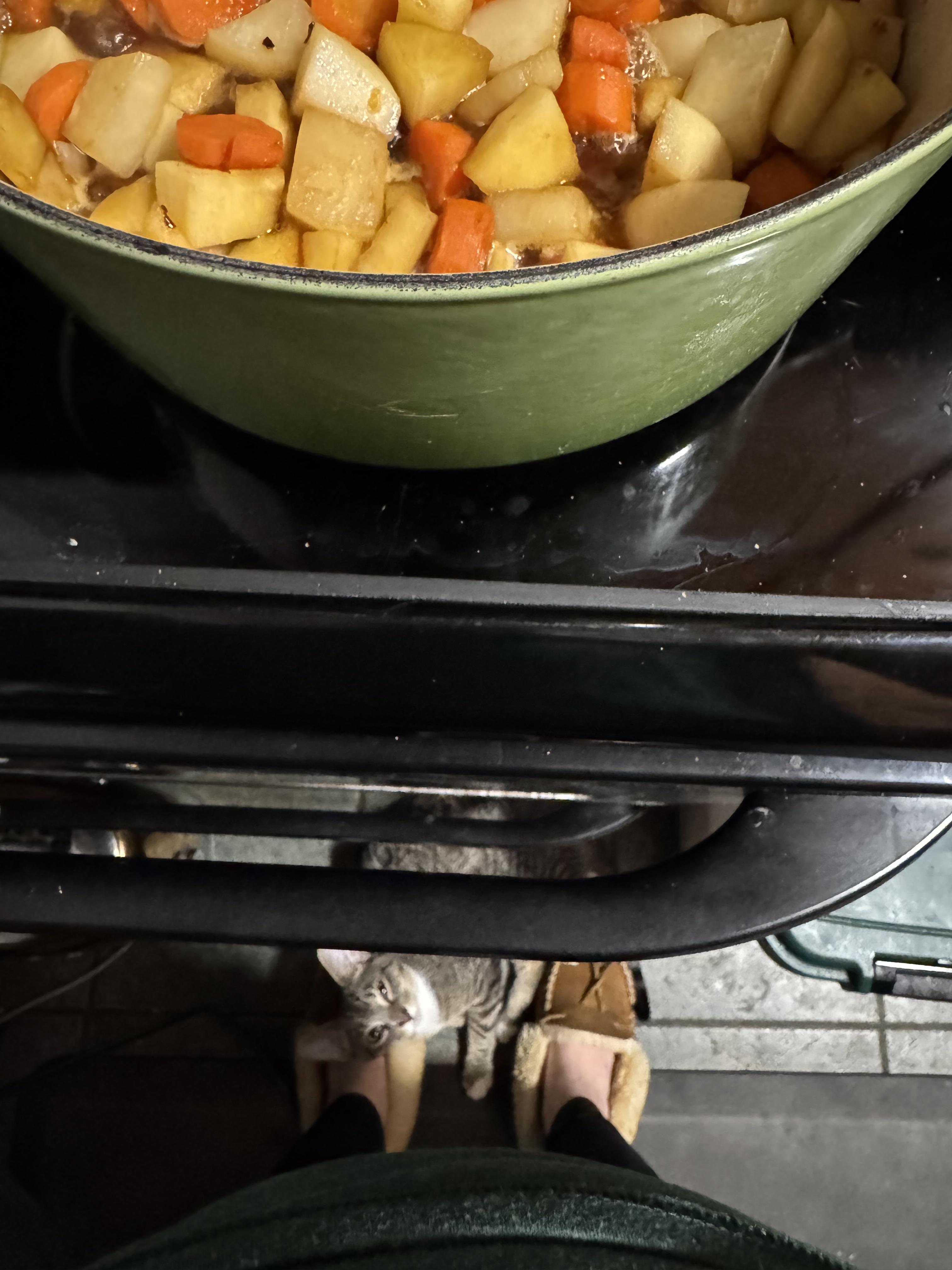 My sous chef | Scrolller