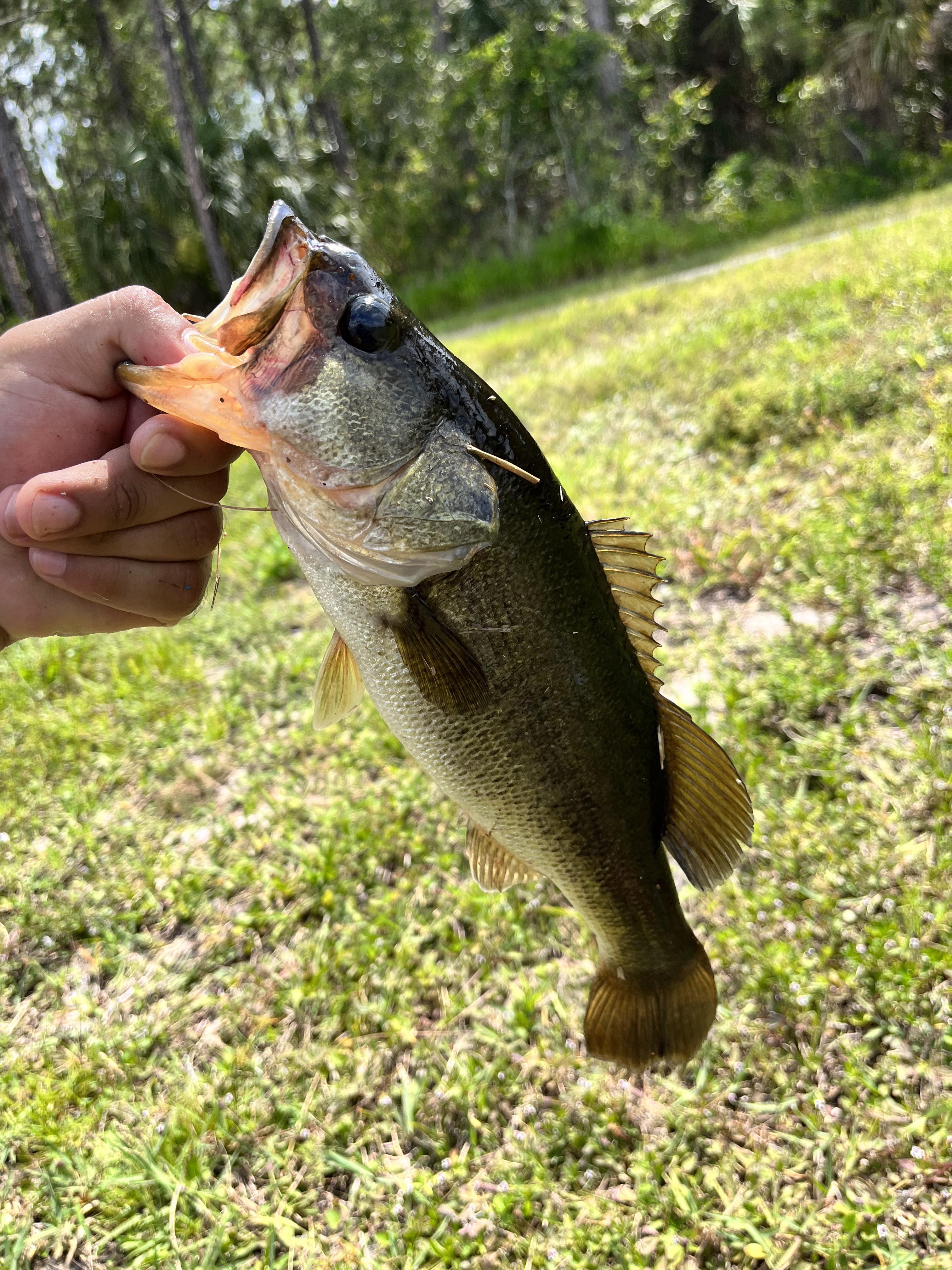 Dock Demon setup! | Scrolller