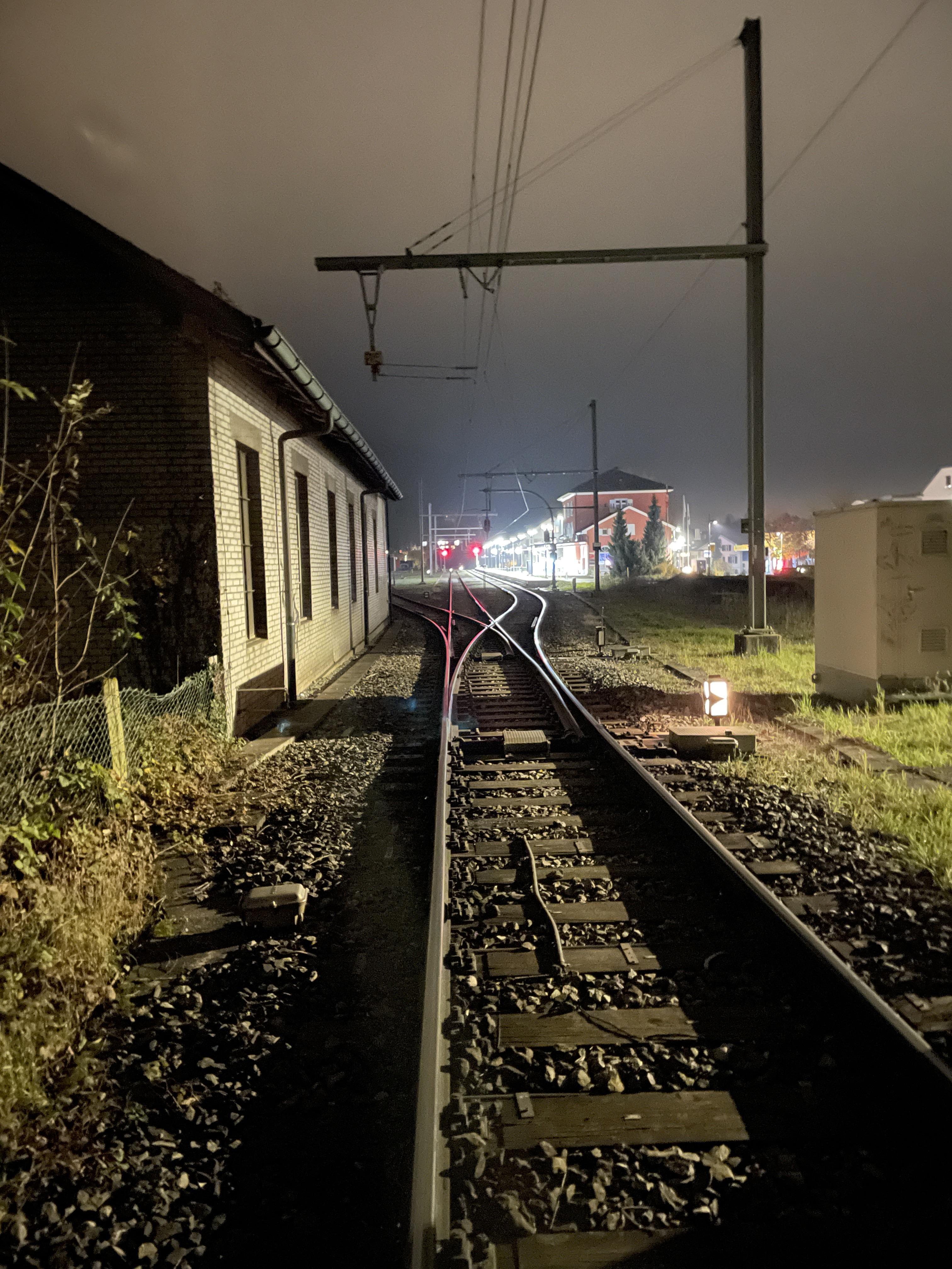 Crossing paths | Scrolller