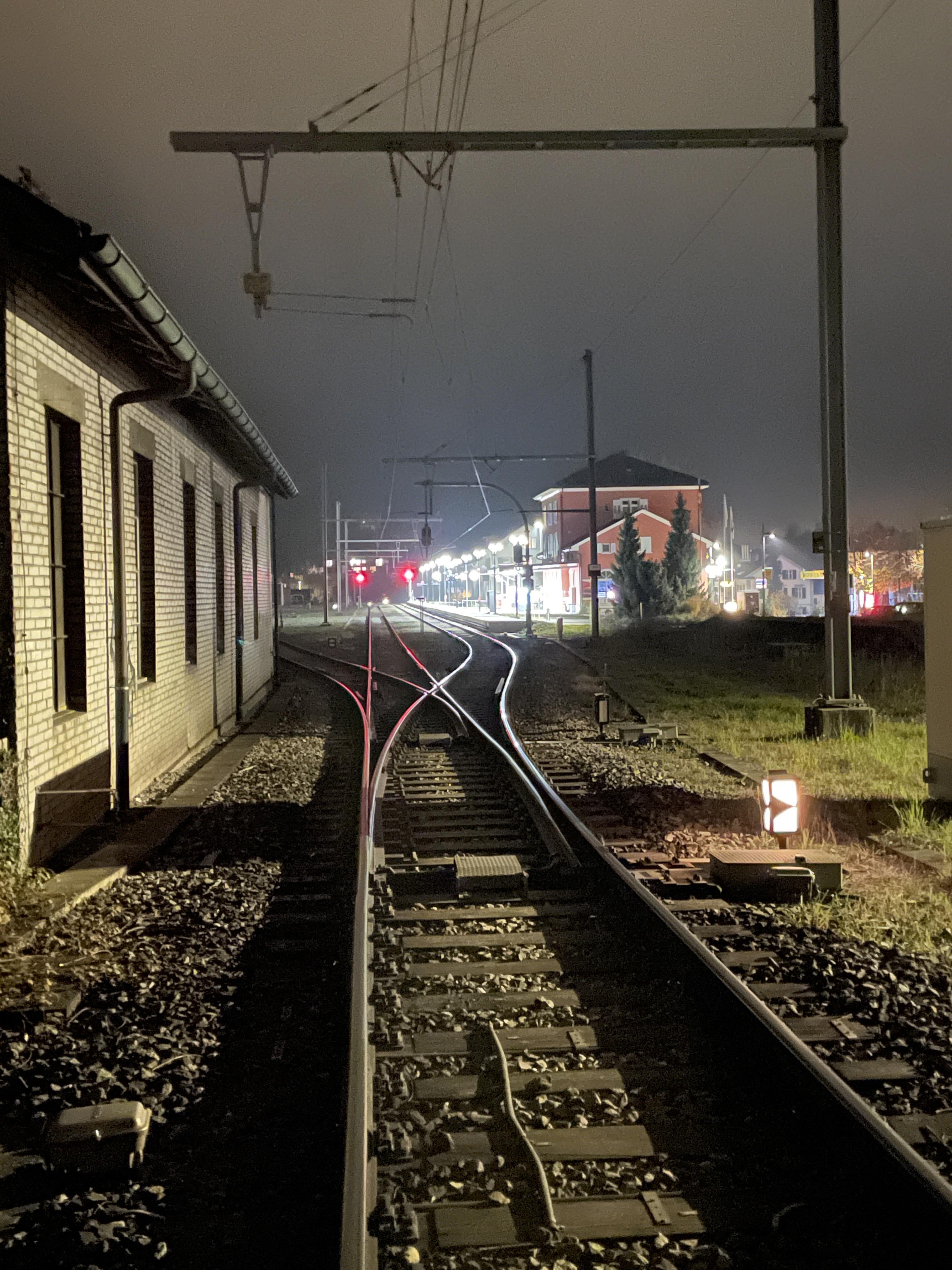 Crossing paths | Scrolller