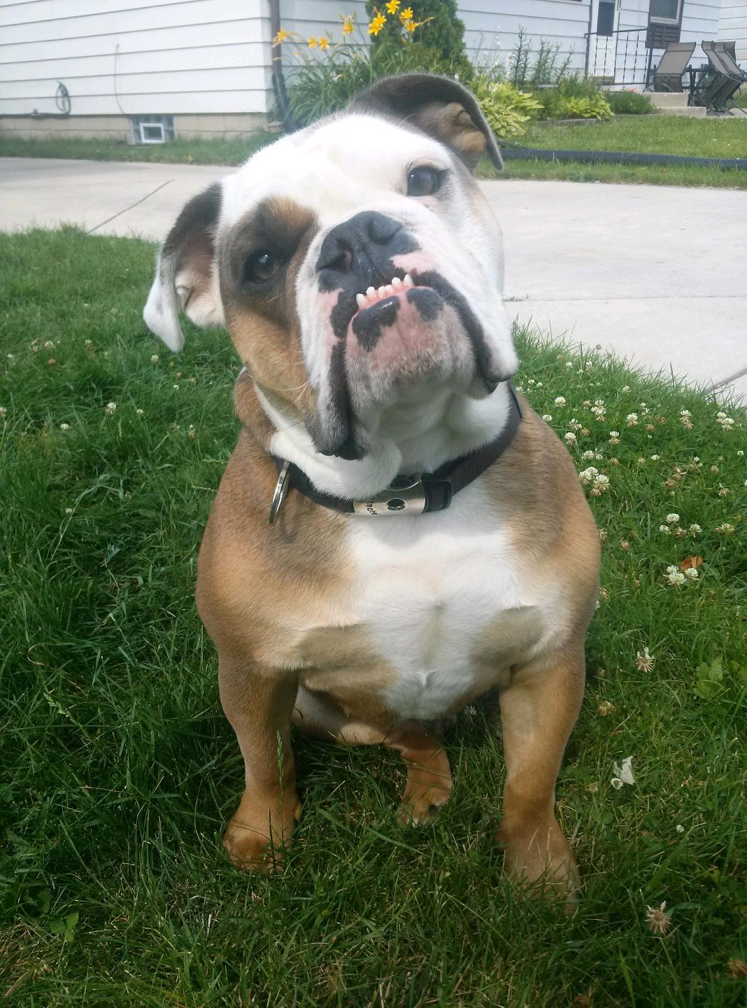 Some old pictures of Bruce | Scrolller