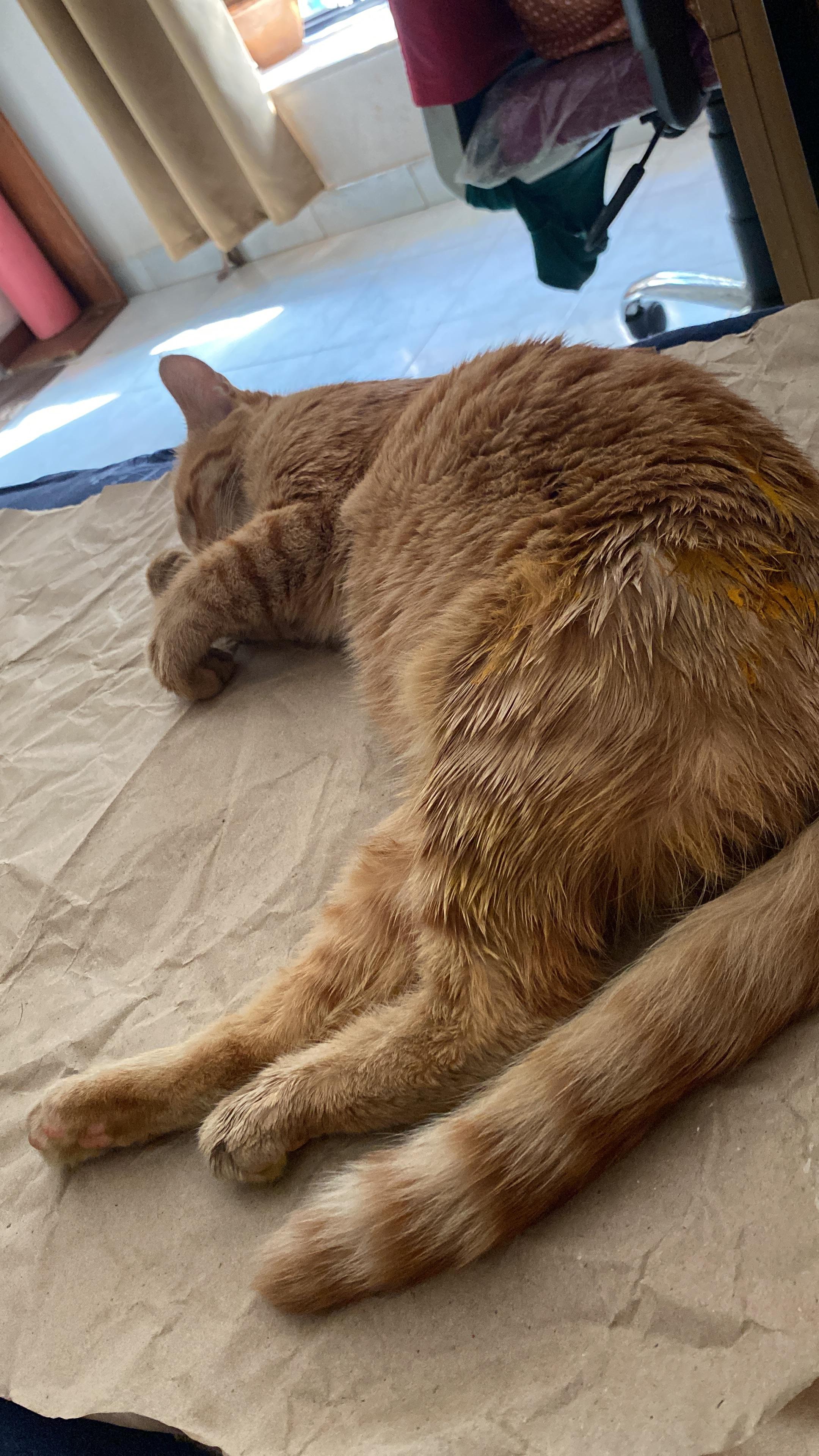 Prayers for my Sona | Scrolller