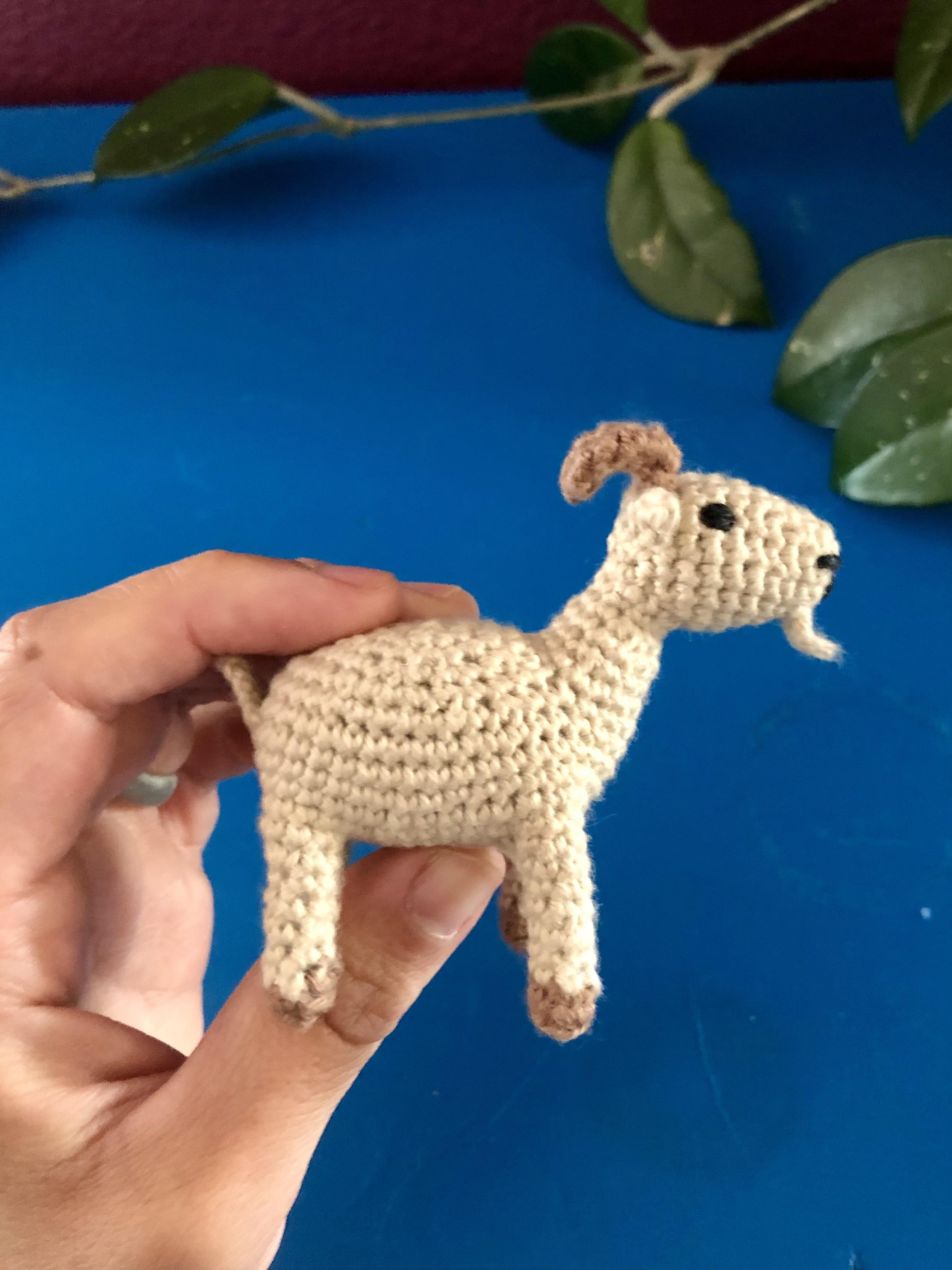 I made a tiny goat! | Scrolller
