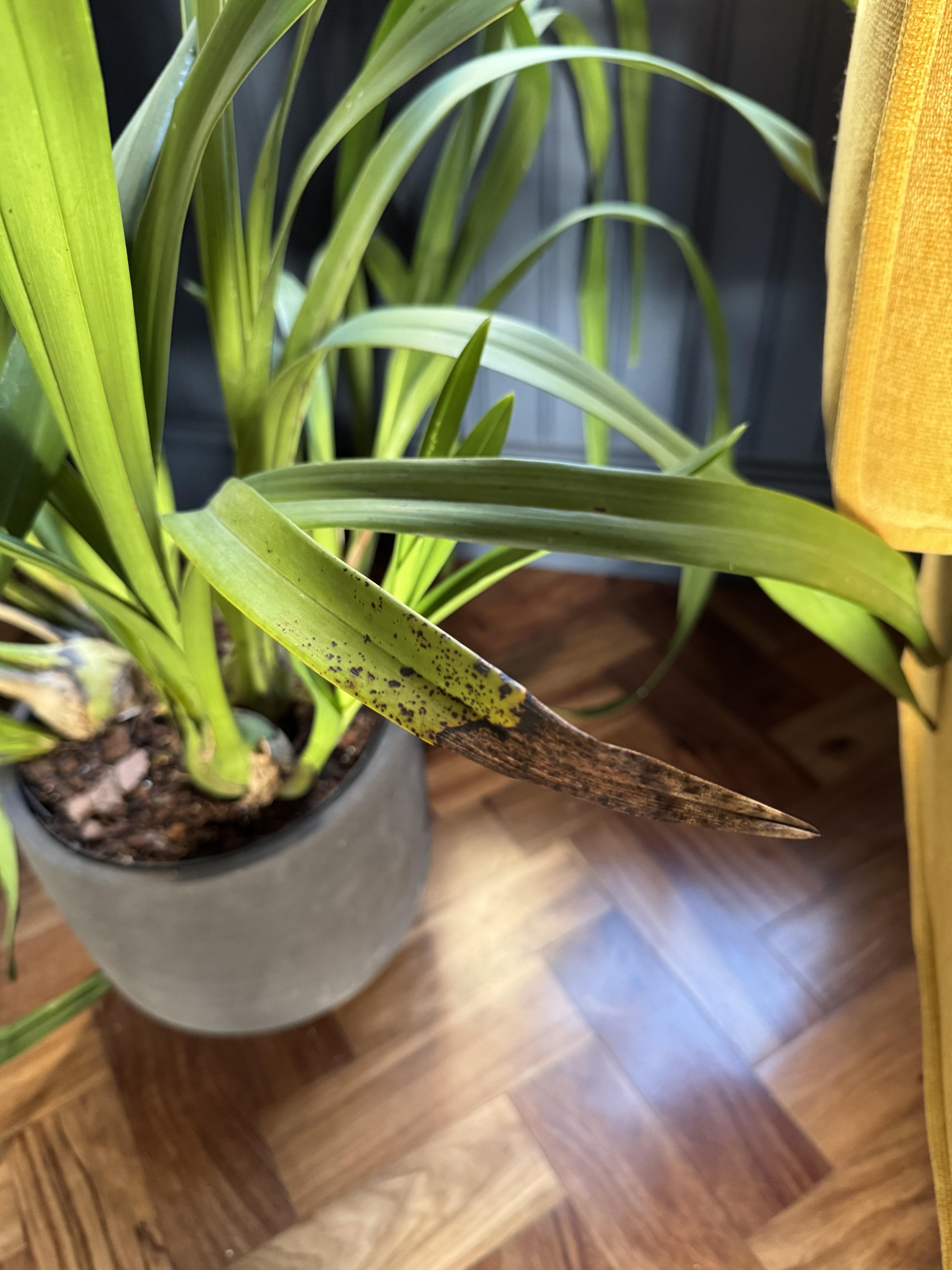 Which bacterial infection is mine? | Scrolller