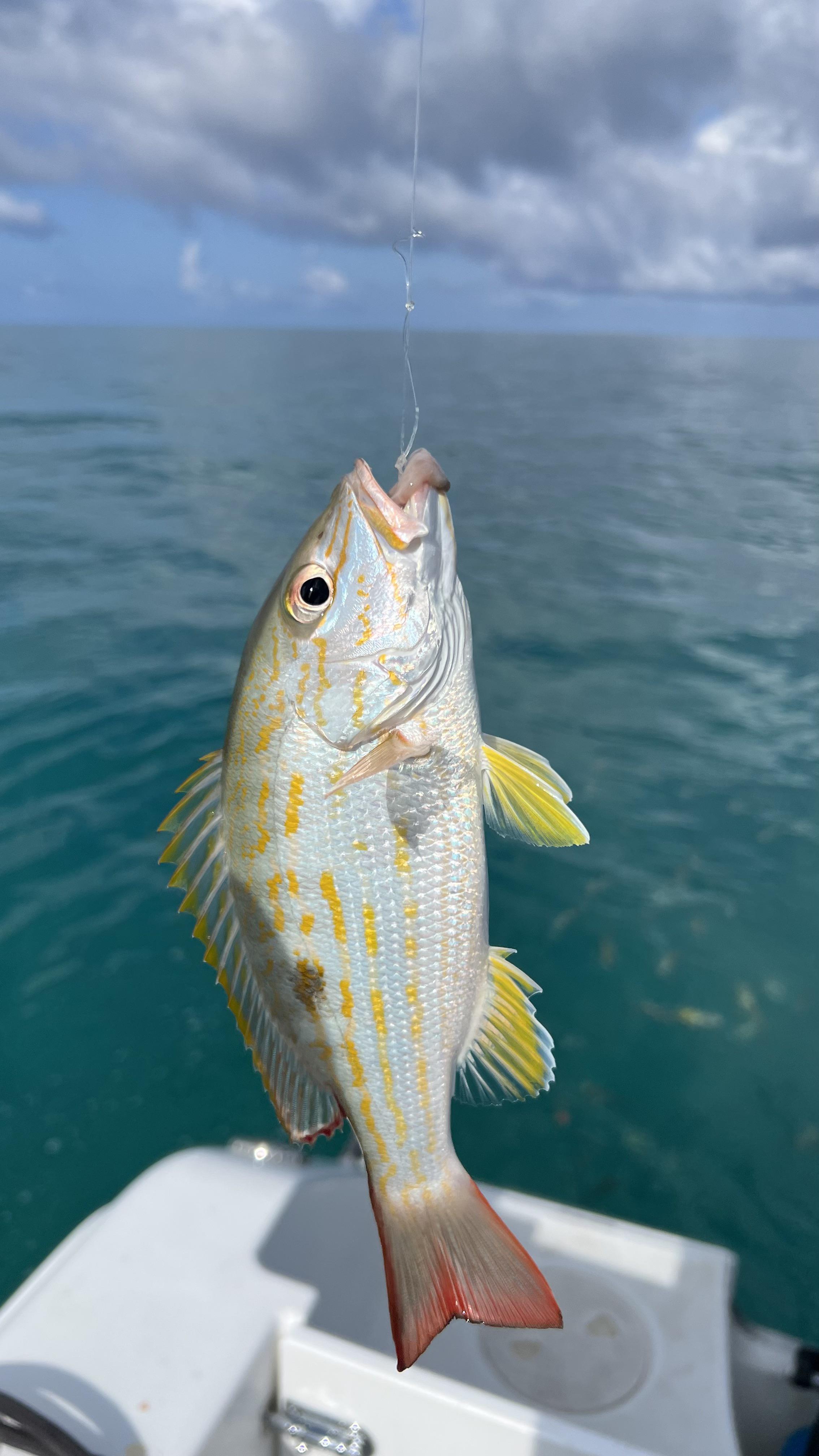 Salt Water Fishing | Scrolller