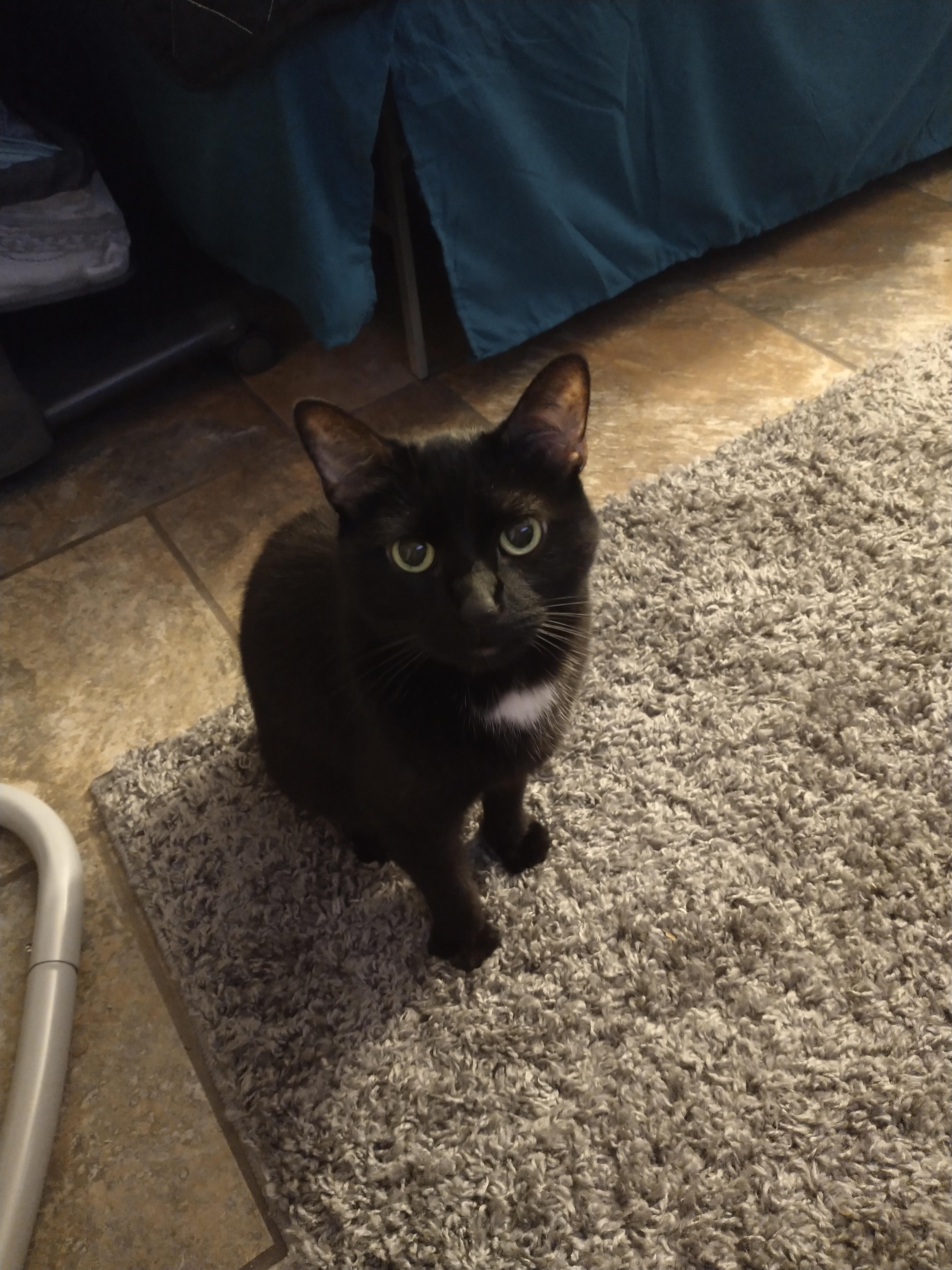 Day 2 of posting Peanut | Scrolller